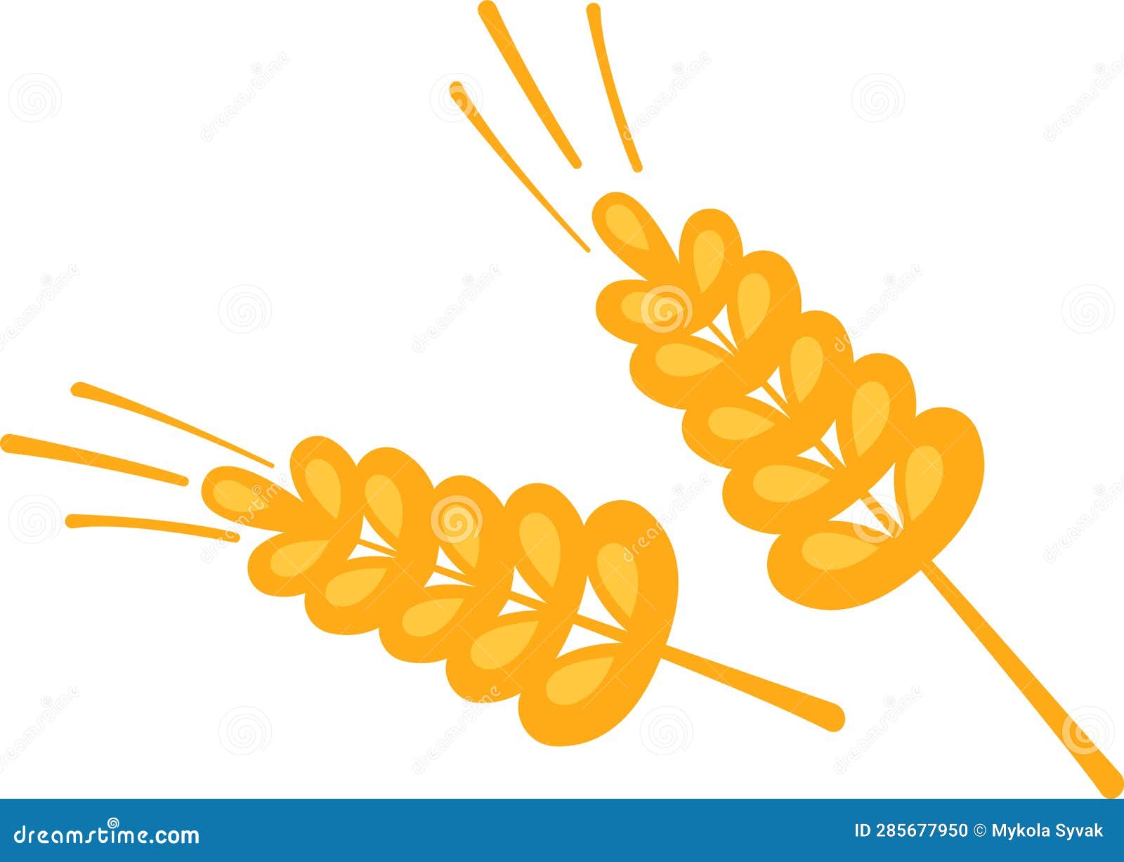 Ears of Wheat stock vector. Illustration of crop, isolated - 285677950