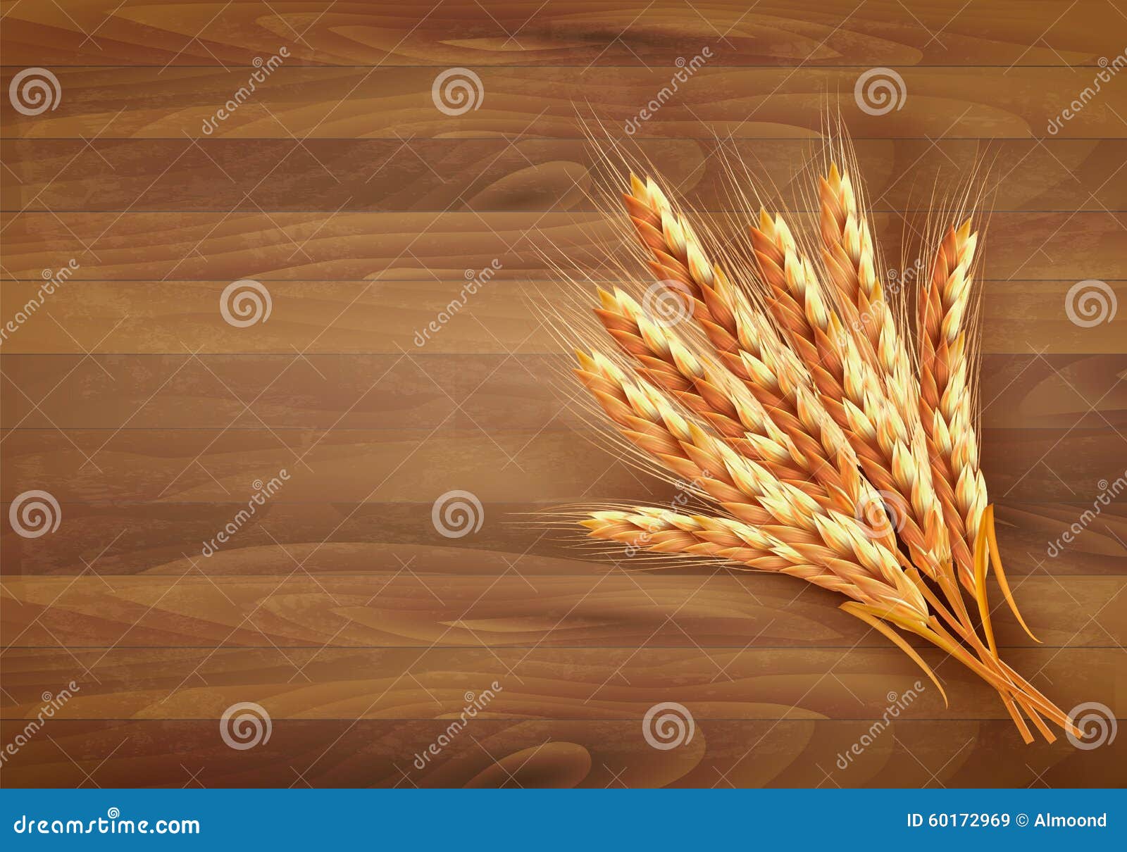 Ears Of Wheat Couple, Gathered With Red Ribbon Banner. Vector ...
