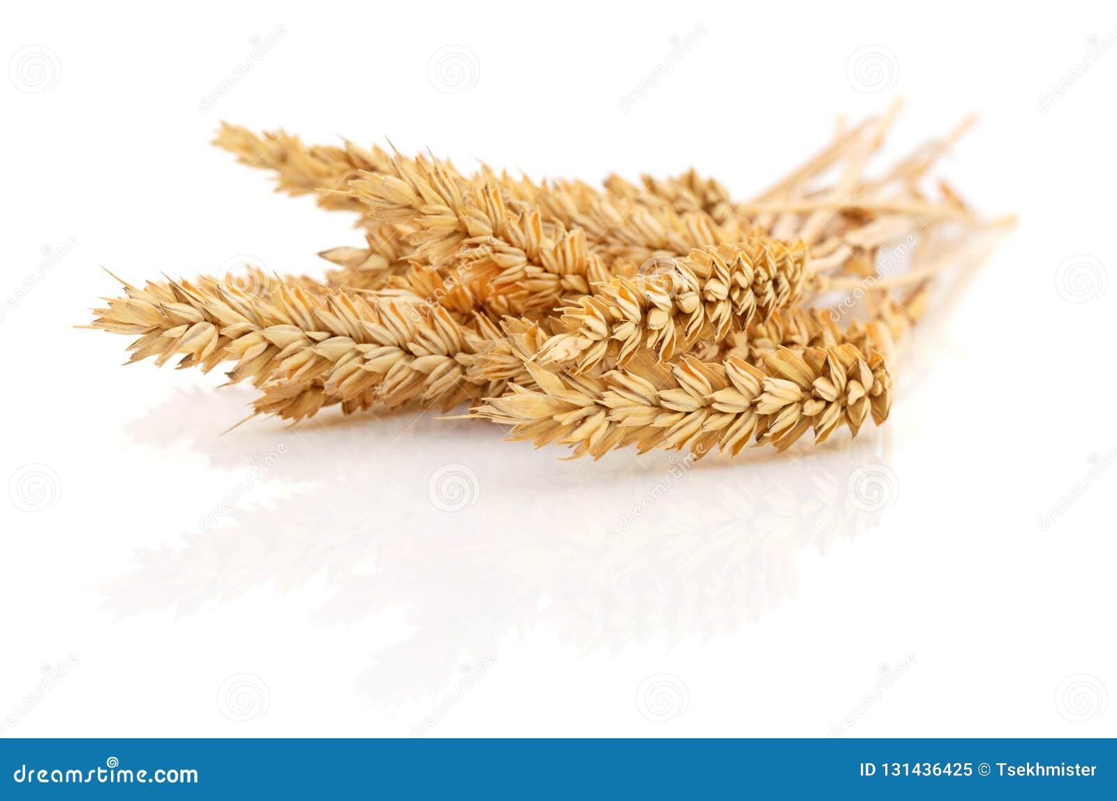 Wheat Bunch on white. stock image. Image of cereal, food - 131436425