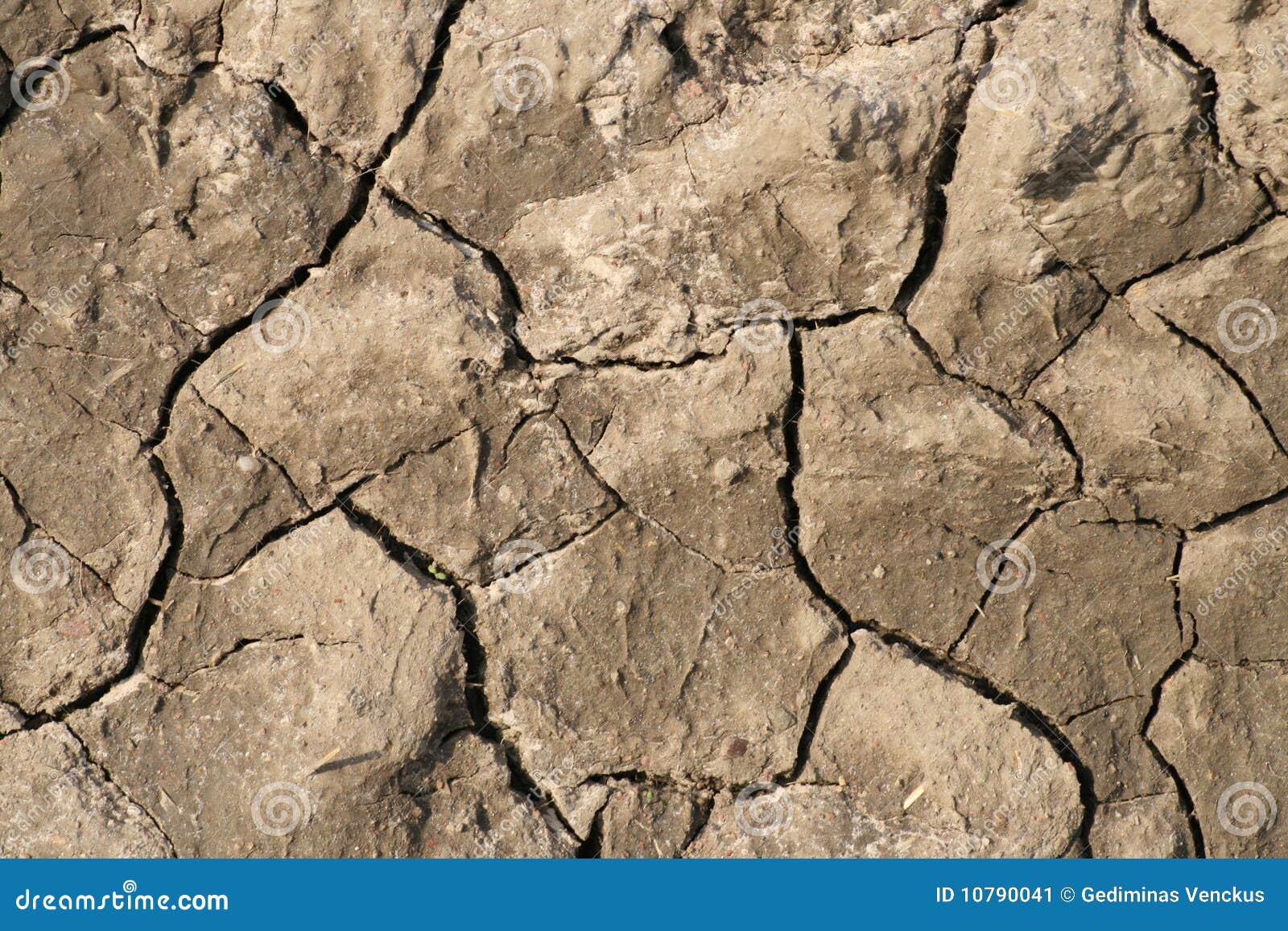 The earth stock image. Image of brown, splinter, earth - 10790041