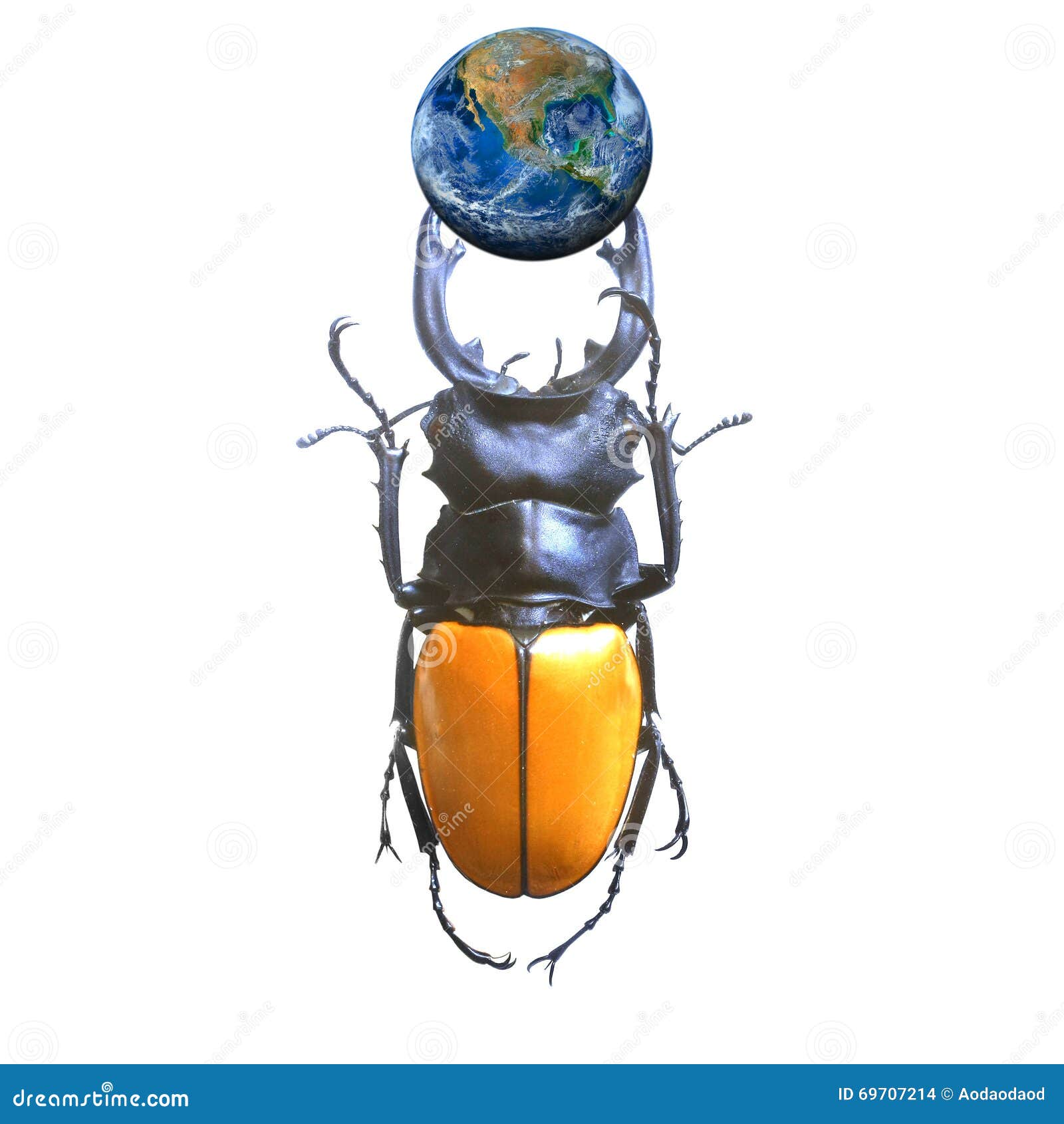 The Earth with a Beetle ,including Elements Furnished by NASA Stock ...