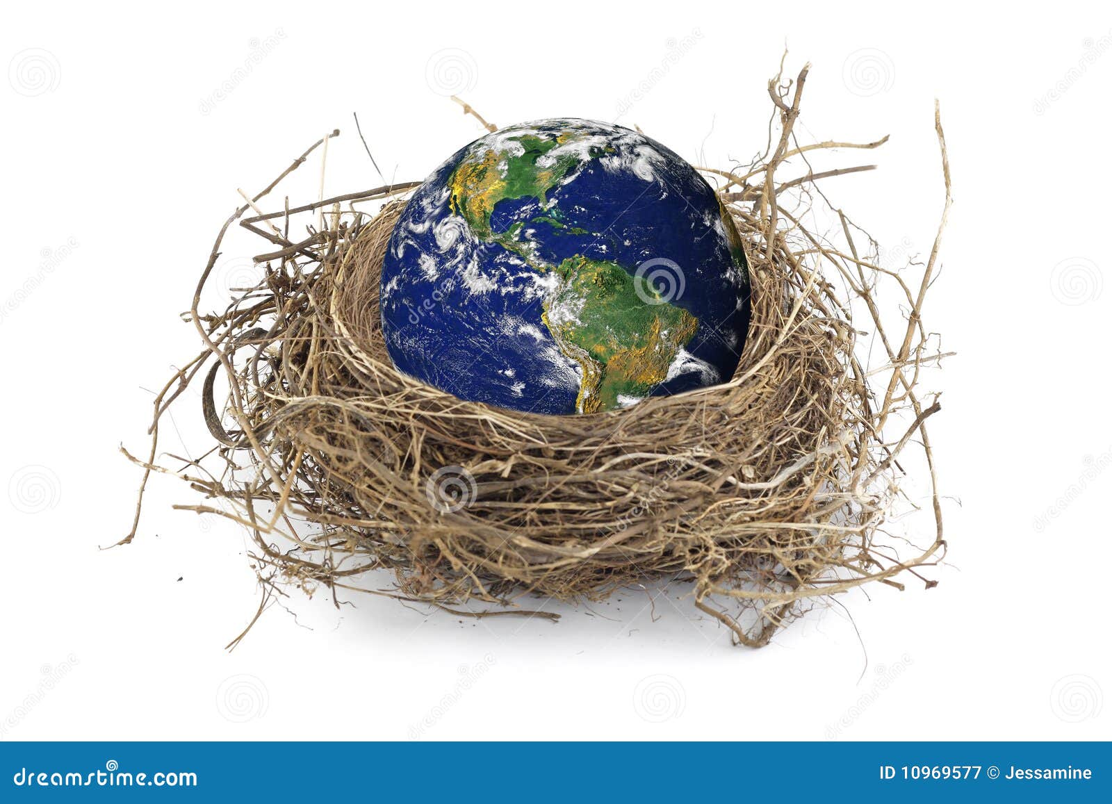 Earth in bird nest stock image. Image of nest, studio - 10969577