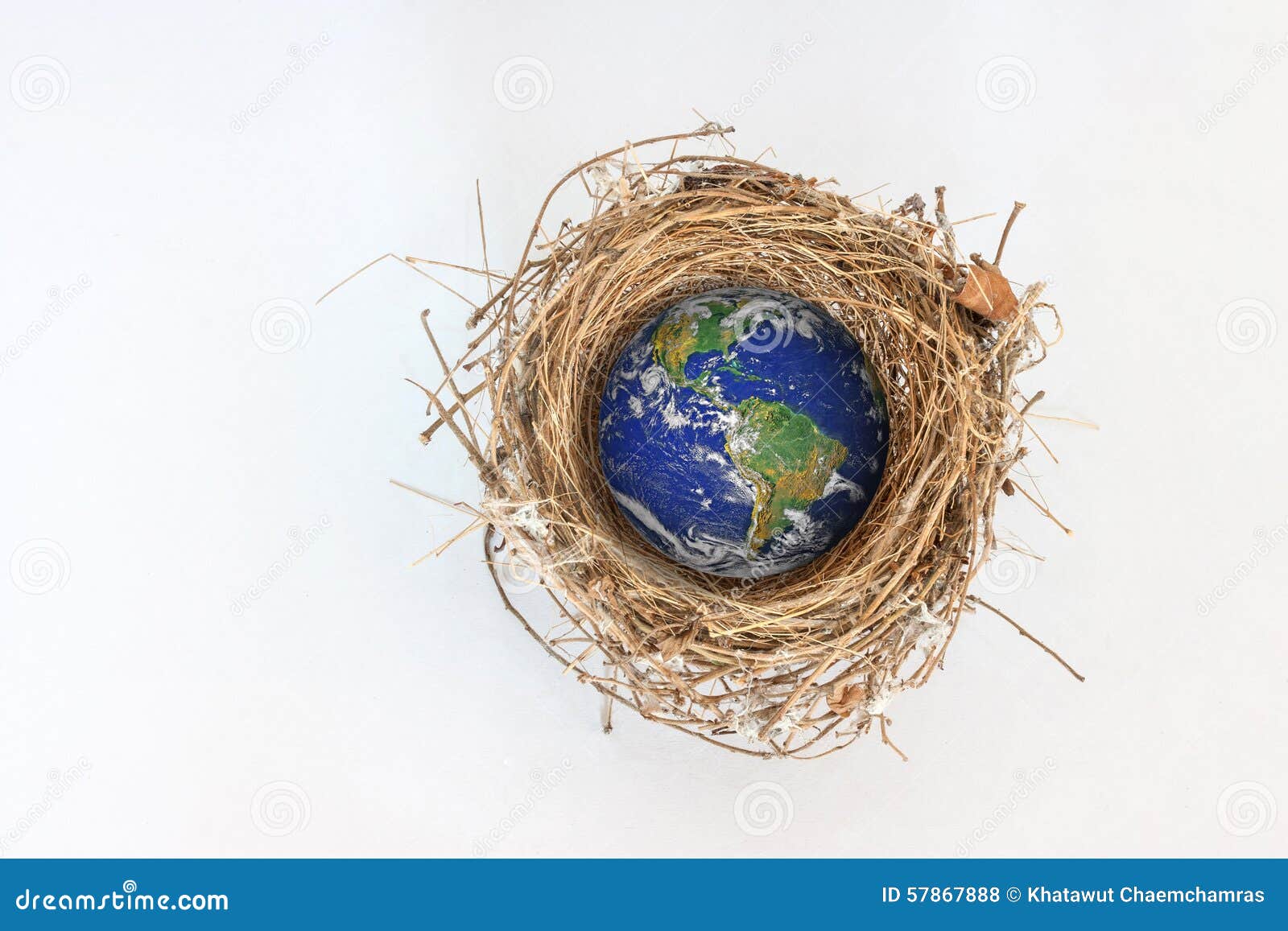 Earth in bird nest stock photo. Image of real, bird, bang - 57867888