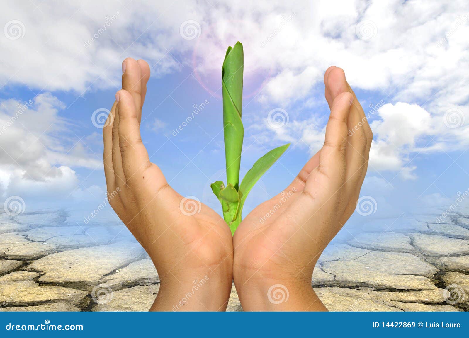 Earth care stock image. Image of outdoors, life, countryside - 14422869