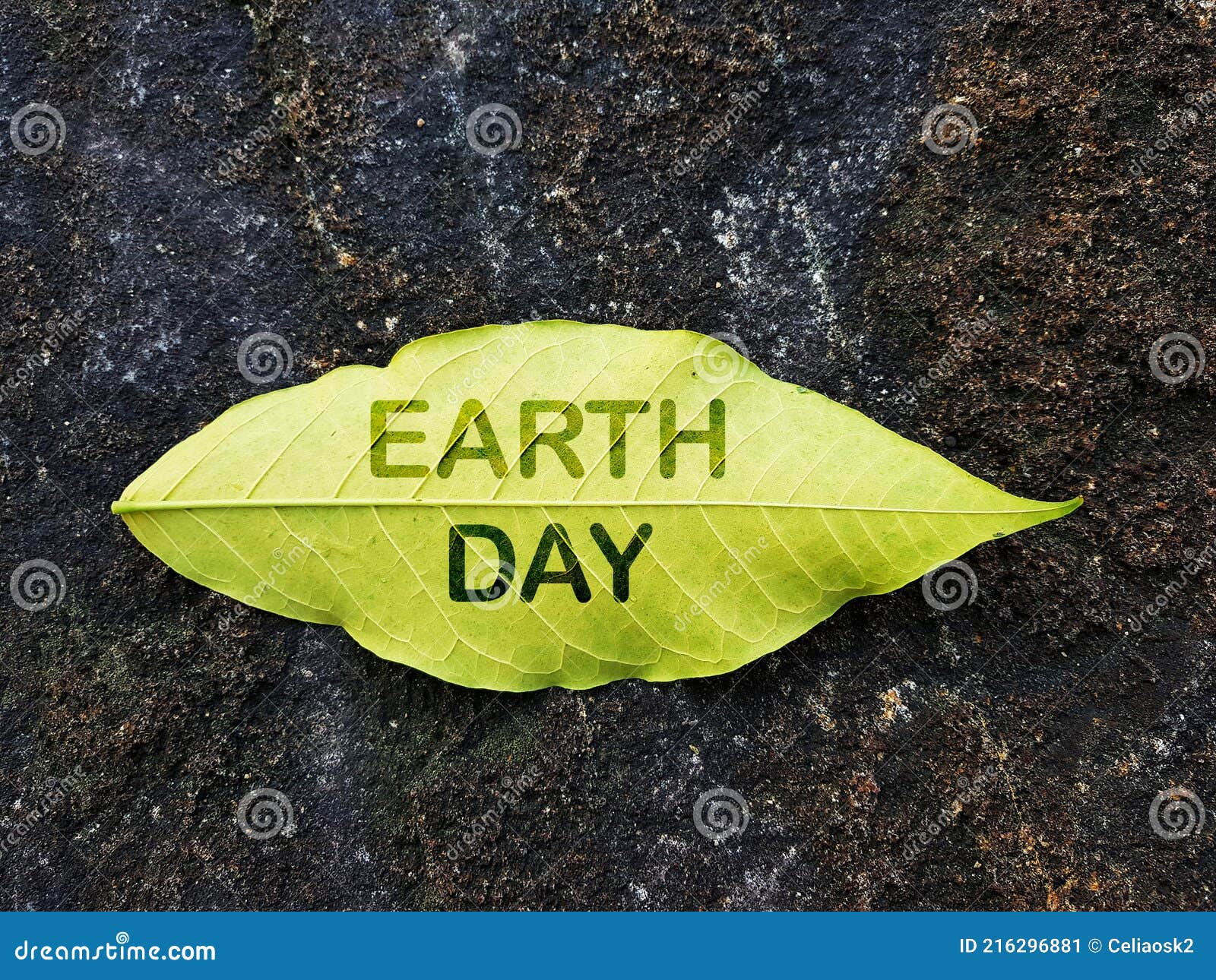 Earth Day Concept Using Leaf on a Rock Stock Image - Image of ecology ...