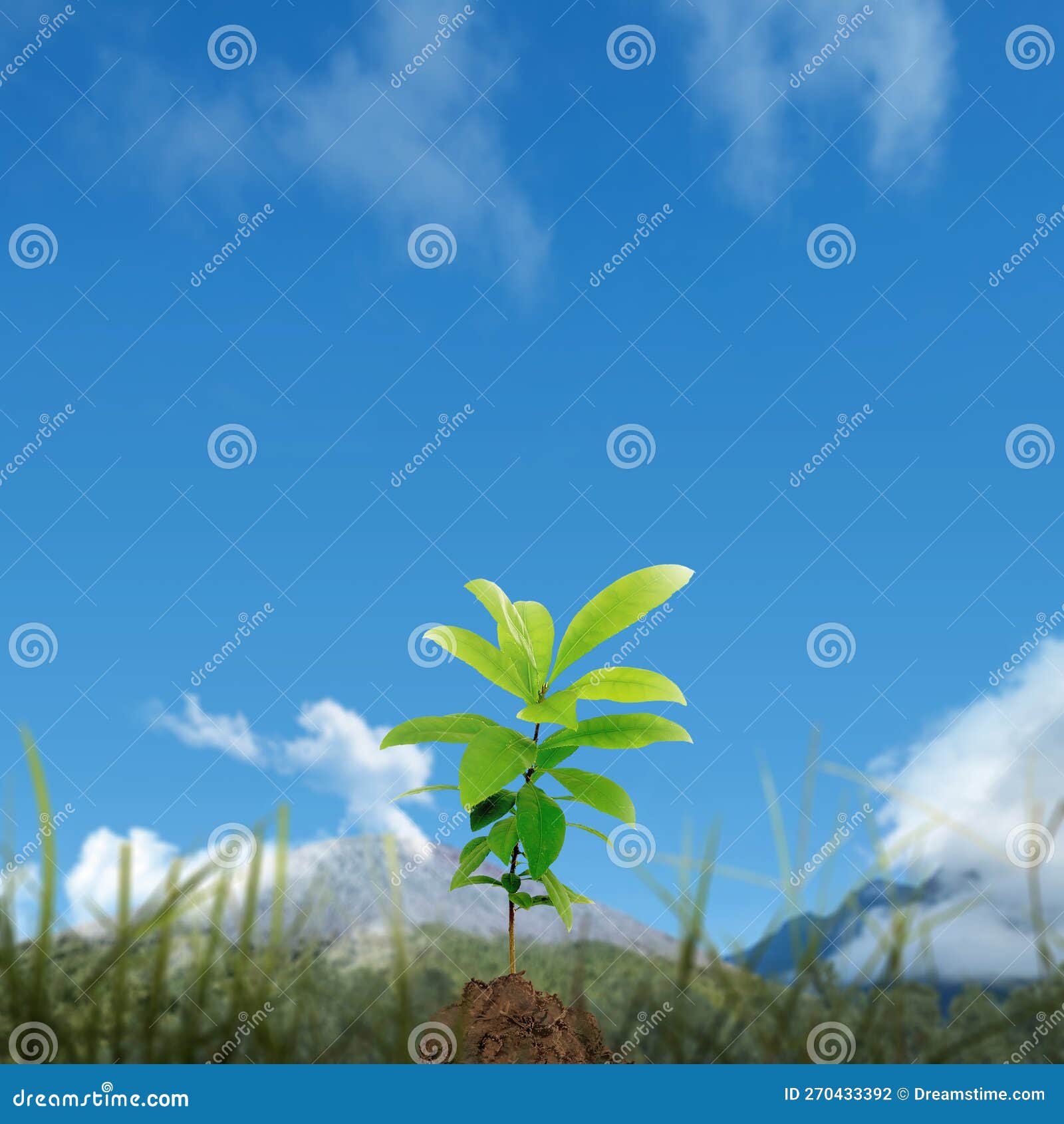 Earth Day stock photo. Image of outdoors, plant, nature - 270433392