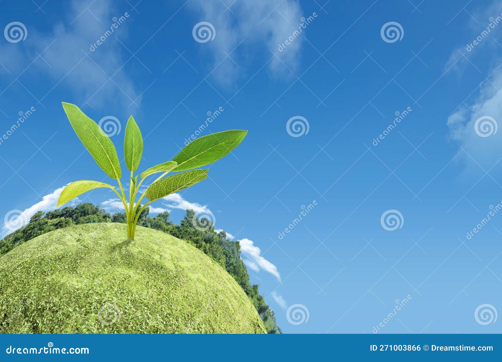 Earth Day stock photo. Image of earth, leaf, care, global - 271003866