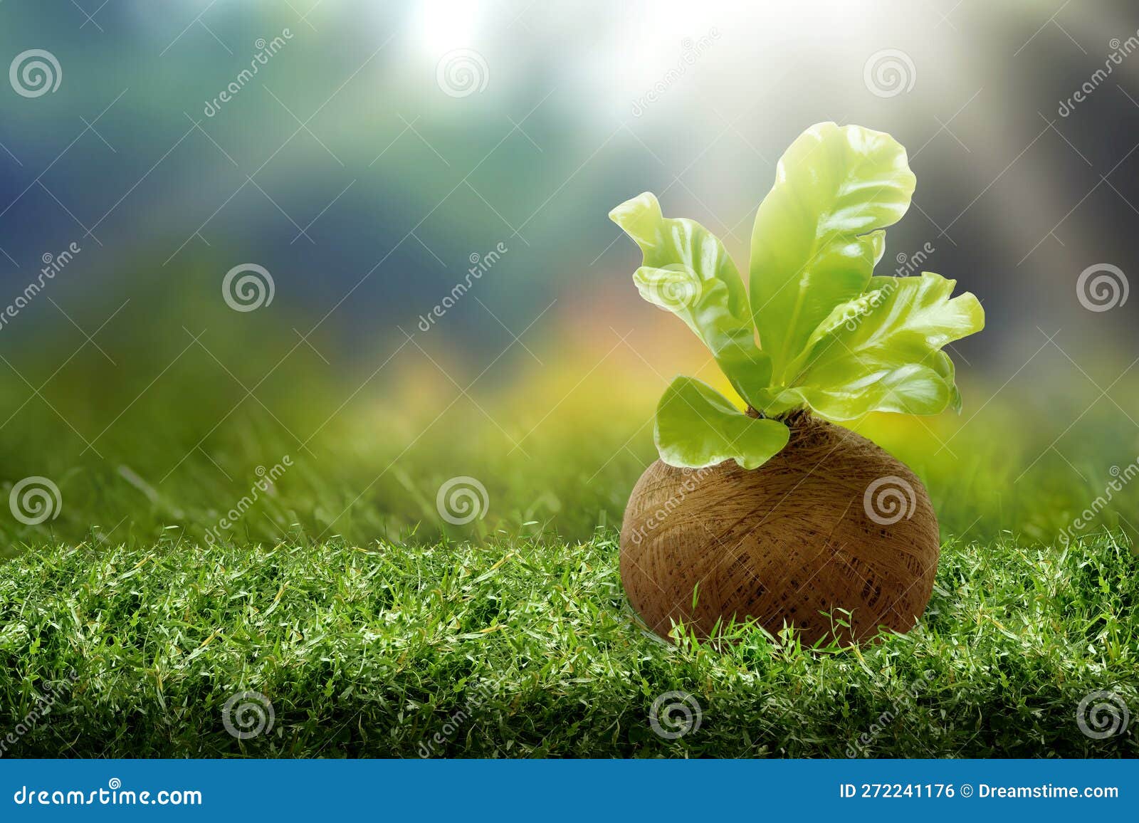 Earth Day stock photo. Image of leaf, planet, nature - 272241176