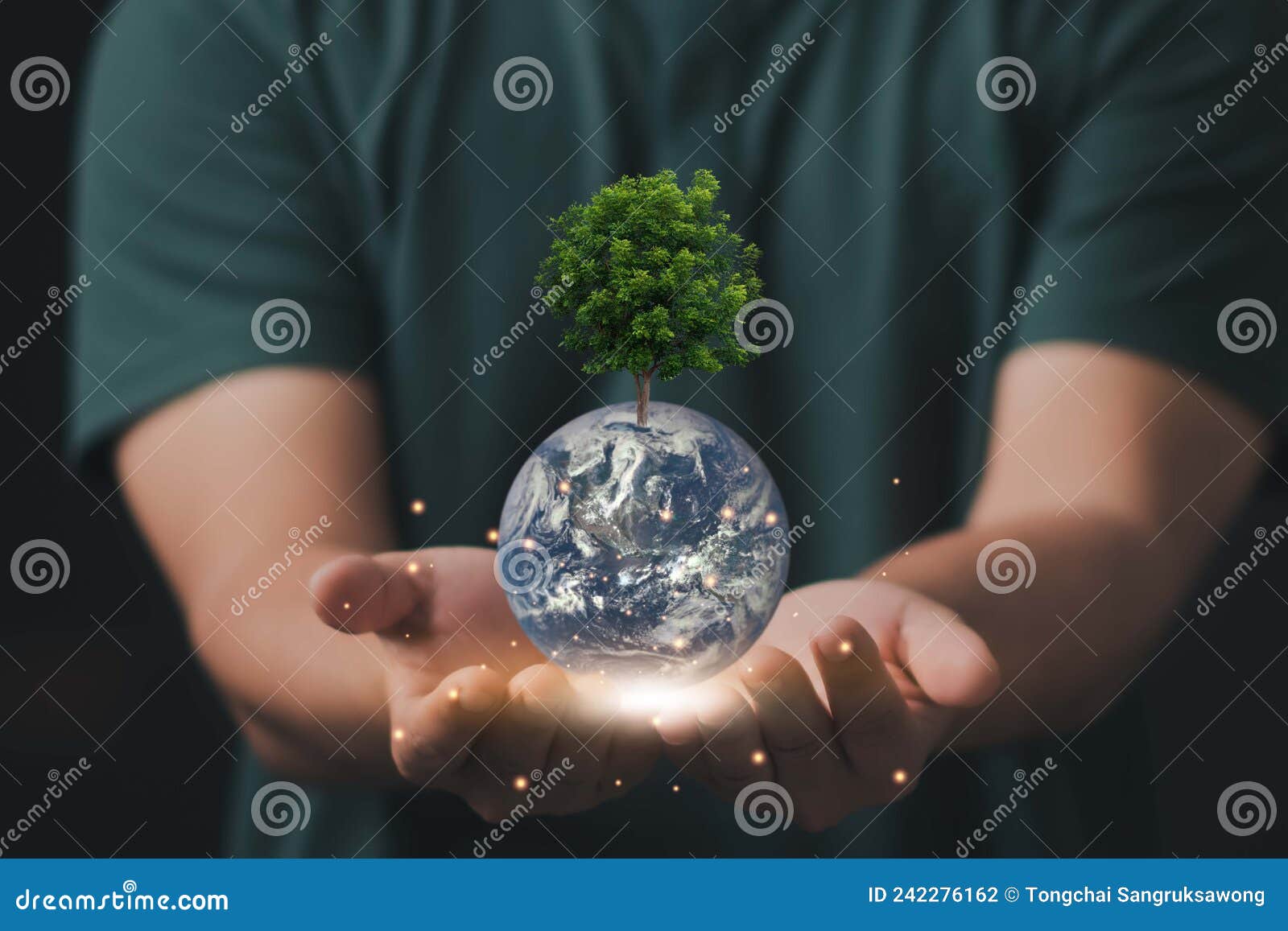 Earth Day.hand Holding Tree Stock Photo - Image of ecology, forest ...