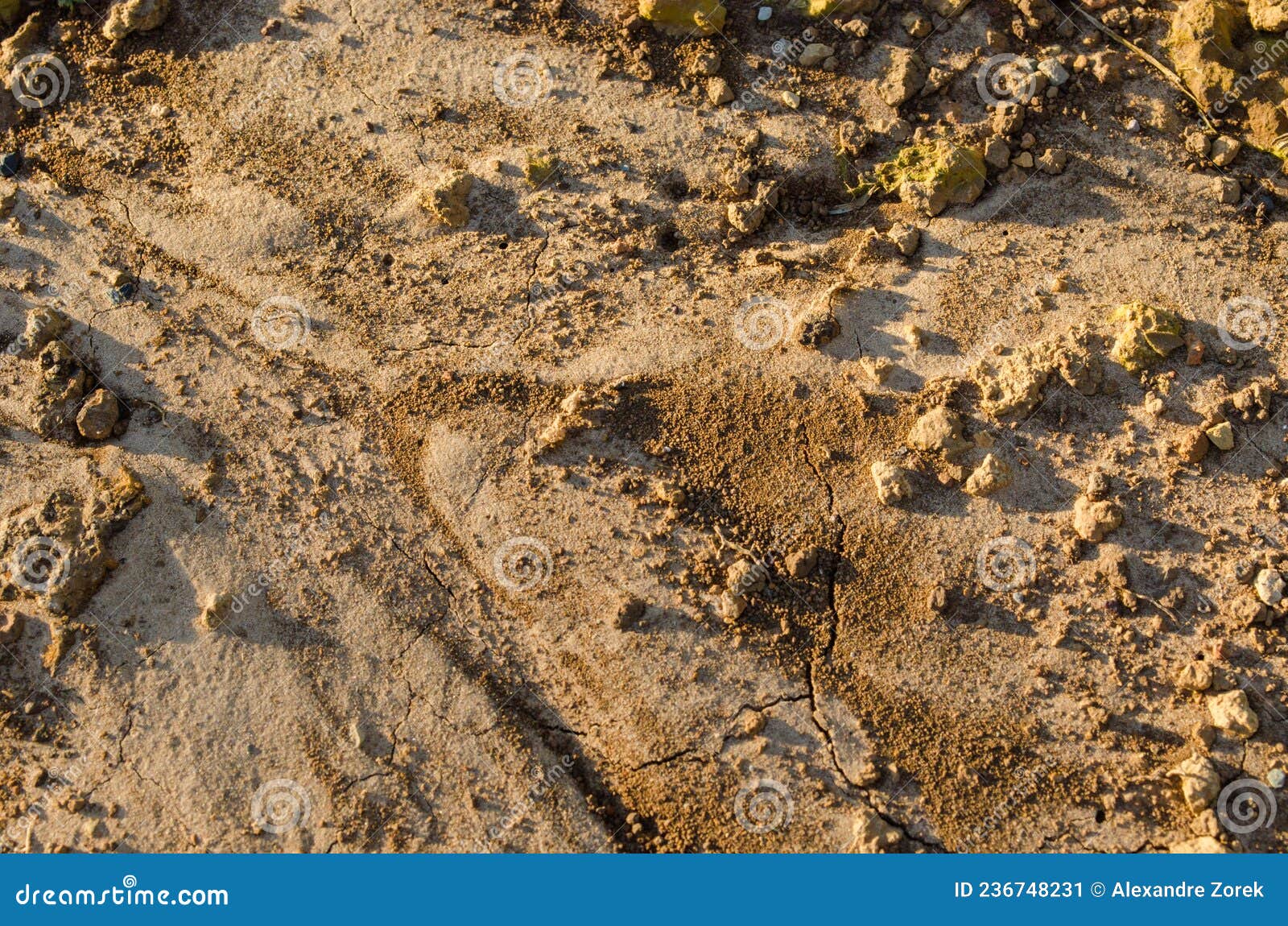 Earth deformed by rain stock image. Image of rainy, rough - 236748231