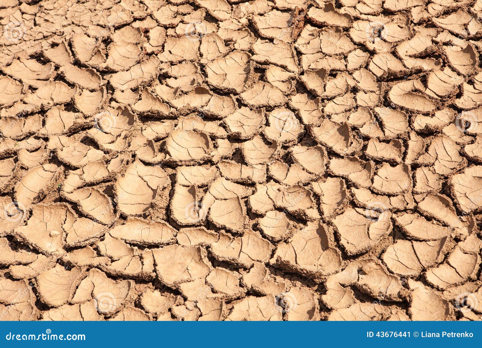 Earth dried up in drought stock image. Image of outdoors - 43676441