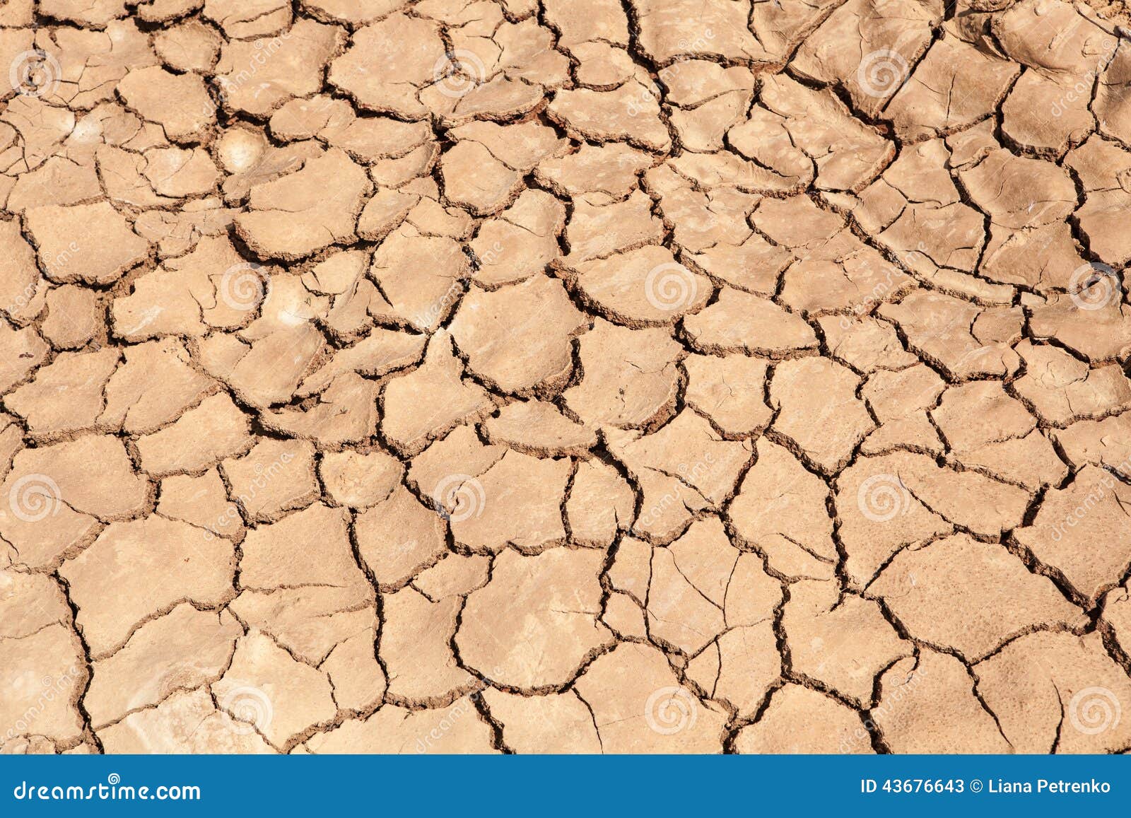 Earth dried up in drought stock image. Image of pattern - 43676643