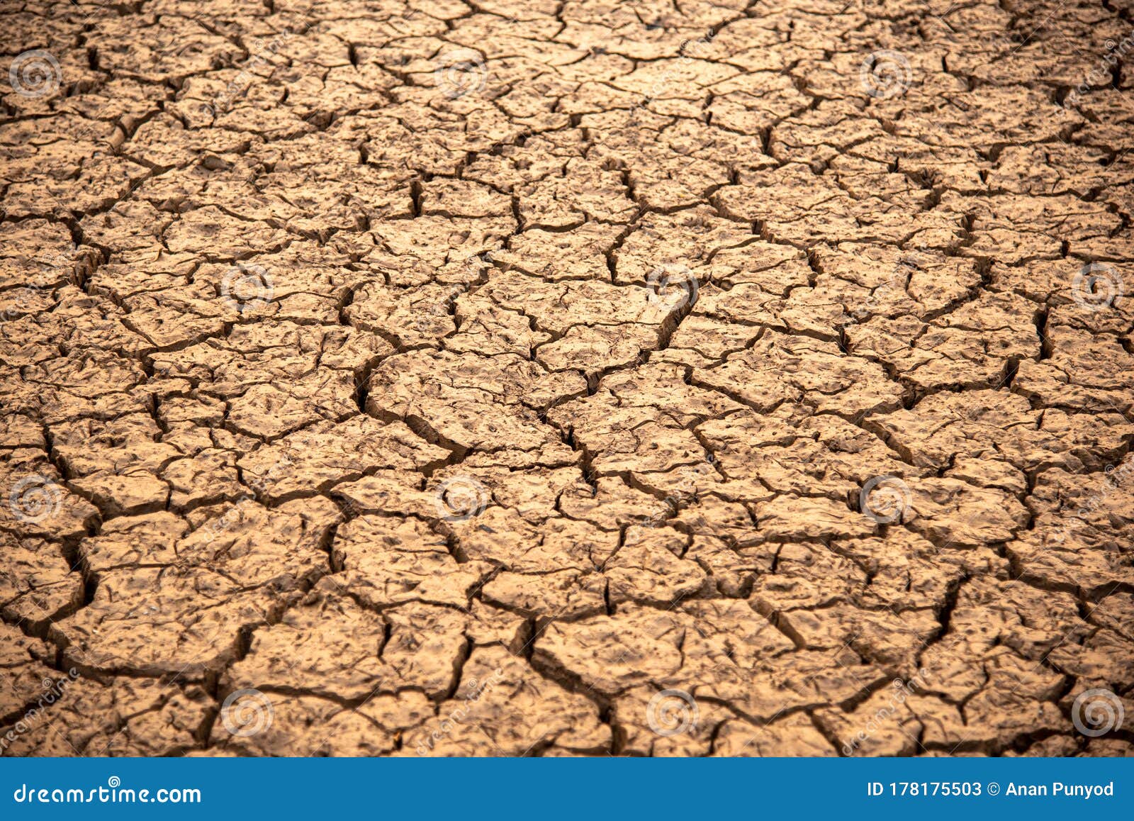 Earth Floor with Dry and Arid Soil in Summer Stock Image - Image of ...