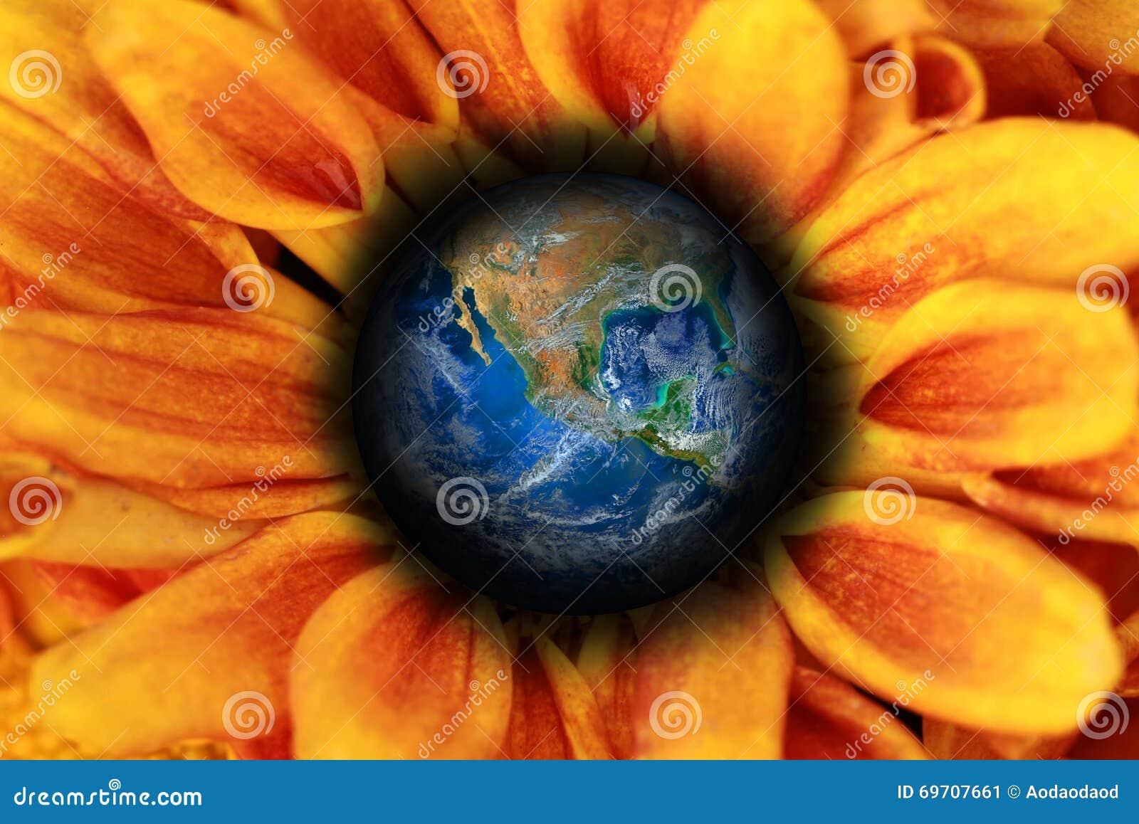 The Earth on Flower ,including Elements Furnished by NASA Stock Image ...