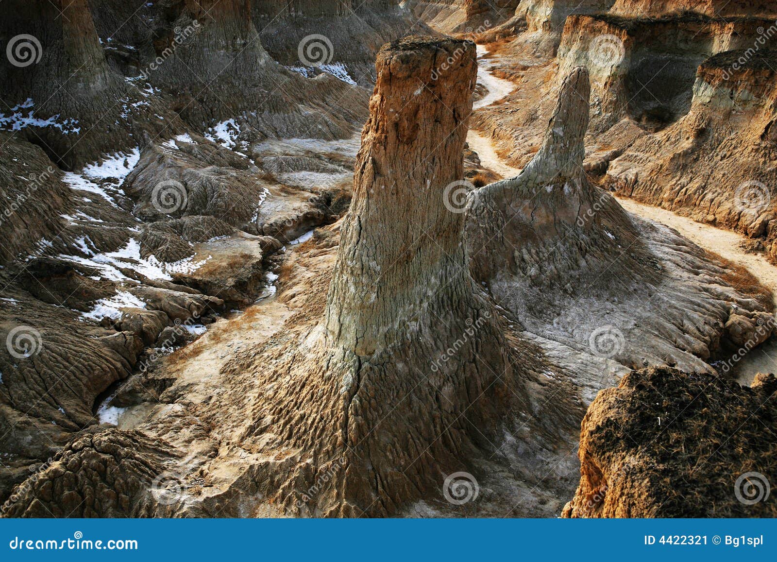 Earth Forest National Geopark In Tibet, China Royalty-Free Stock Image ...