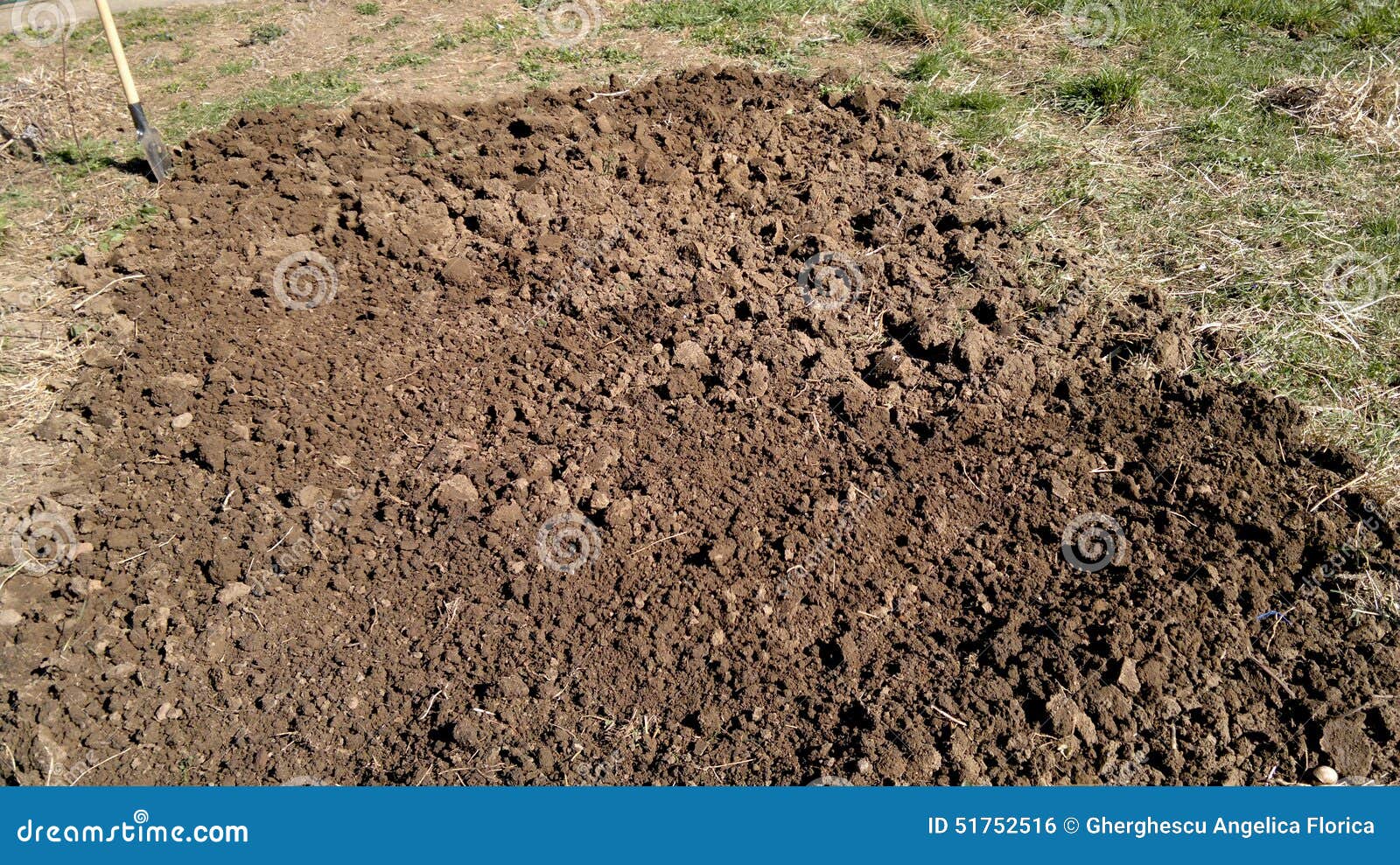 Earth freshly dug 2 stock photo. Image of green, natural - 51752516