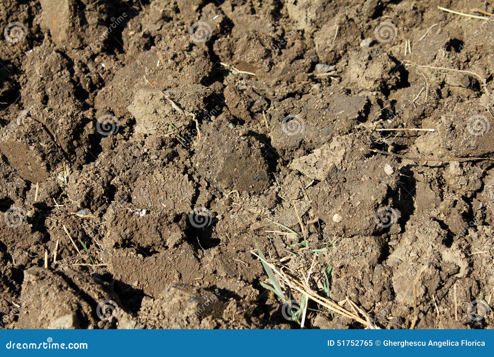 Earth freshly dug 3 stock image. Image of agricultural - 51752765