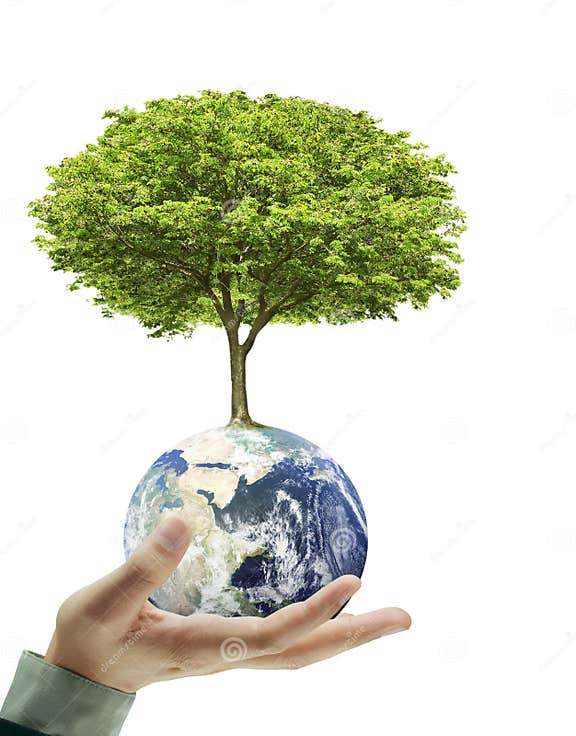 Earth Globe and Tree in His Hand Stock Image - Image of green, human ...