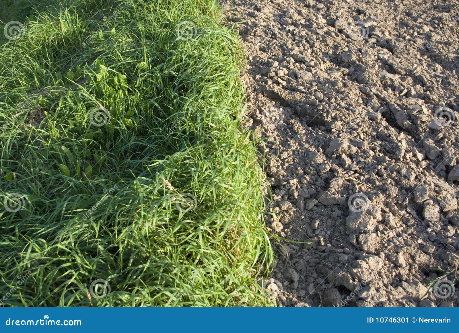 The earth and grass stock image. Image of illumination - 10746301