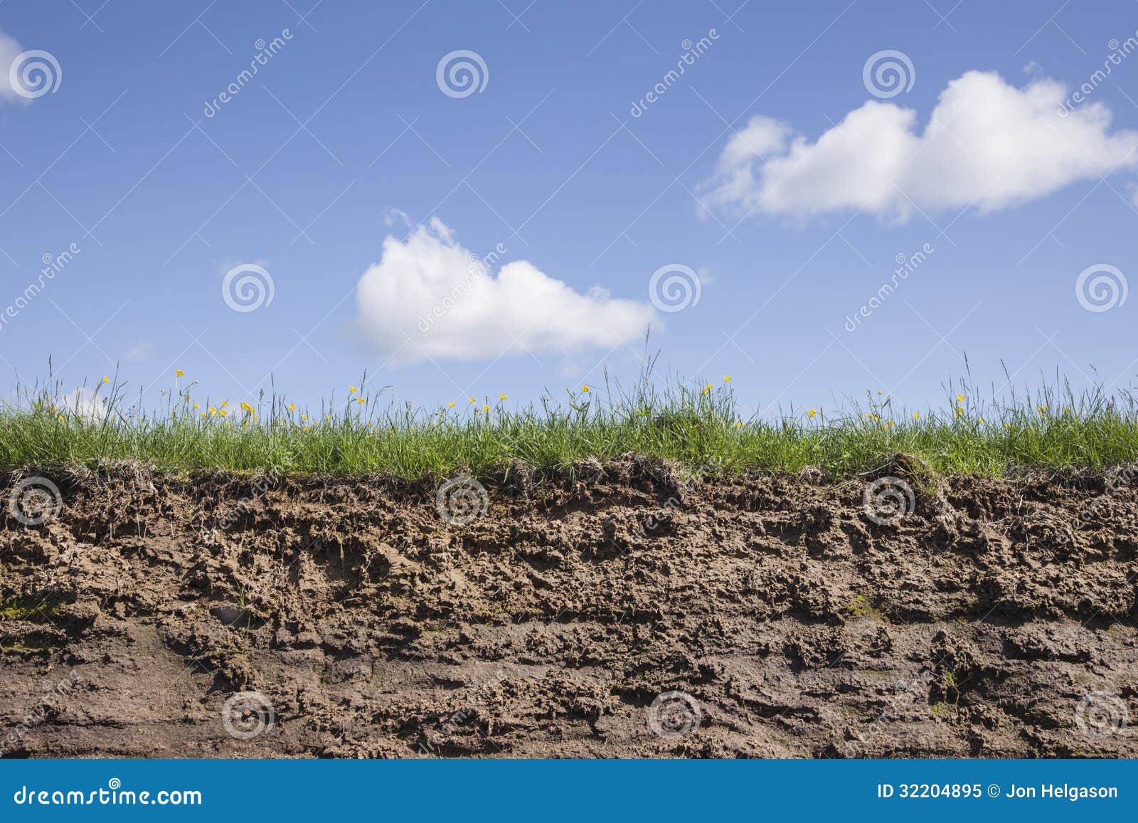 Earth grass and sky stock image. Image of land, growth - 32204895