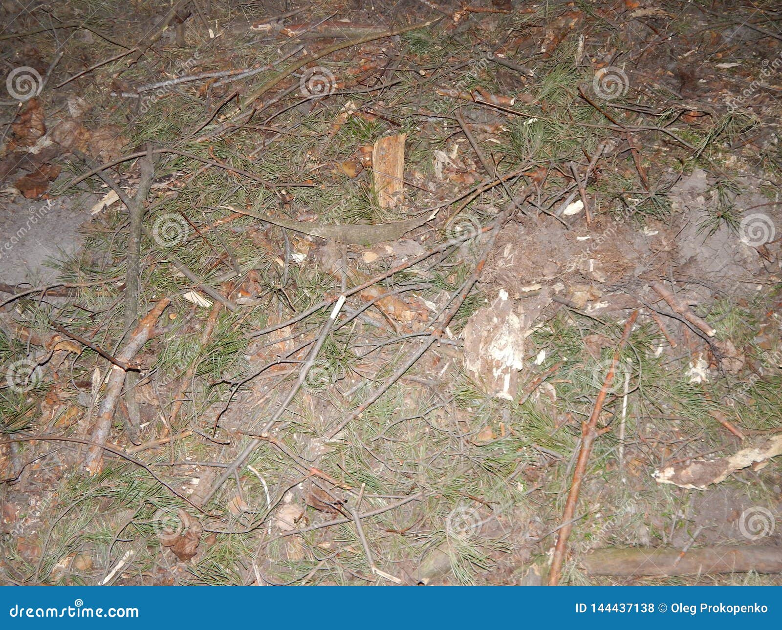 Earth and grass texture stock photo. Image of nature - 144437138