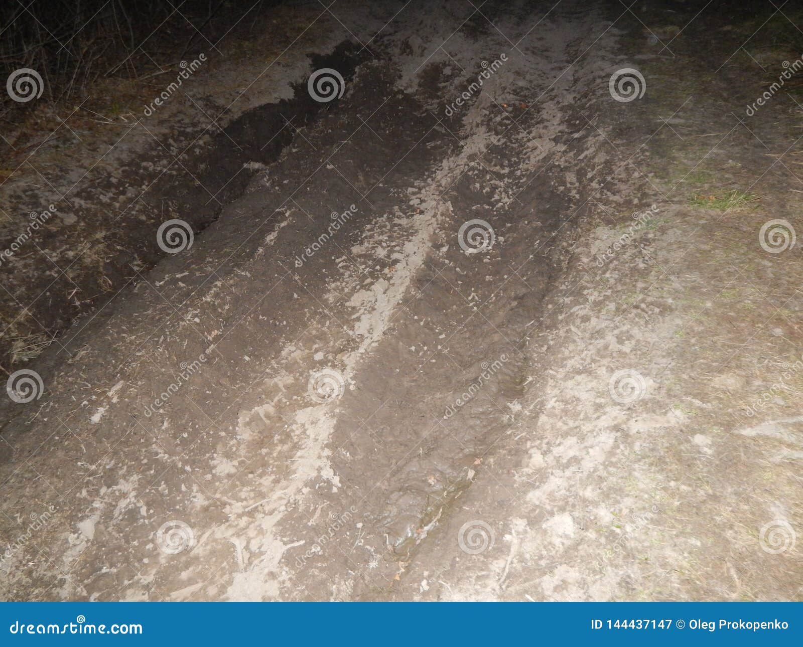 Earth and grass texture stock image. Image of plant - 144437147