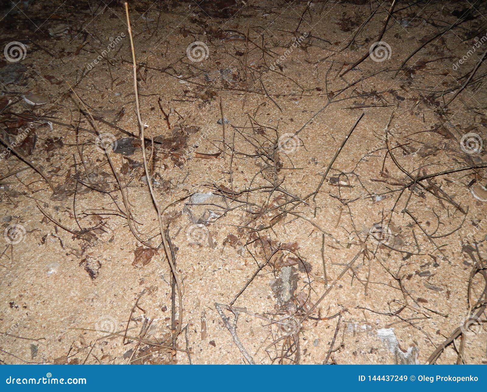 Earth and grass texture stock image. Image of background - 144437249