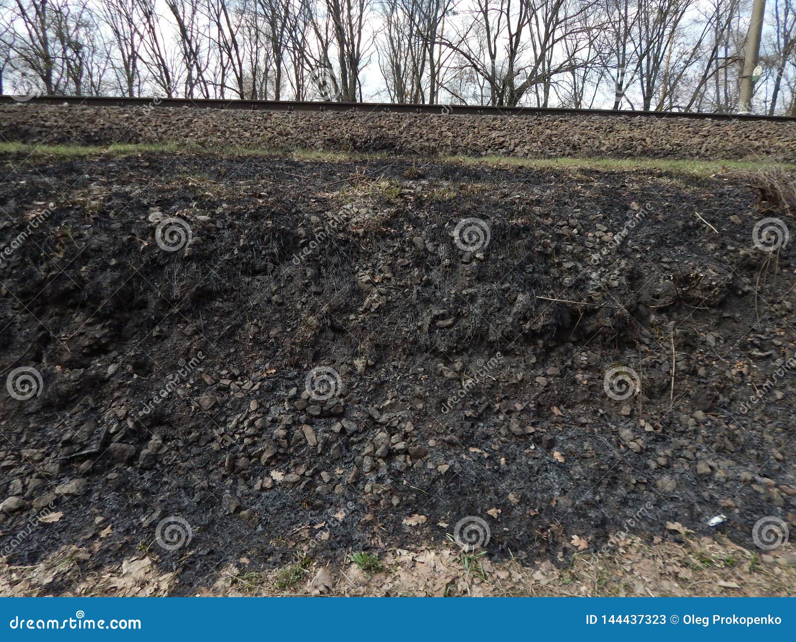 Earth and grass texture stock image. Image of earth - 144437323