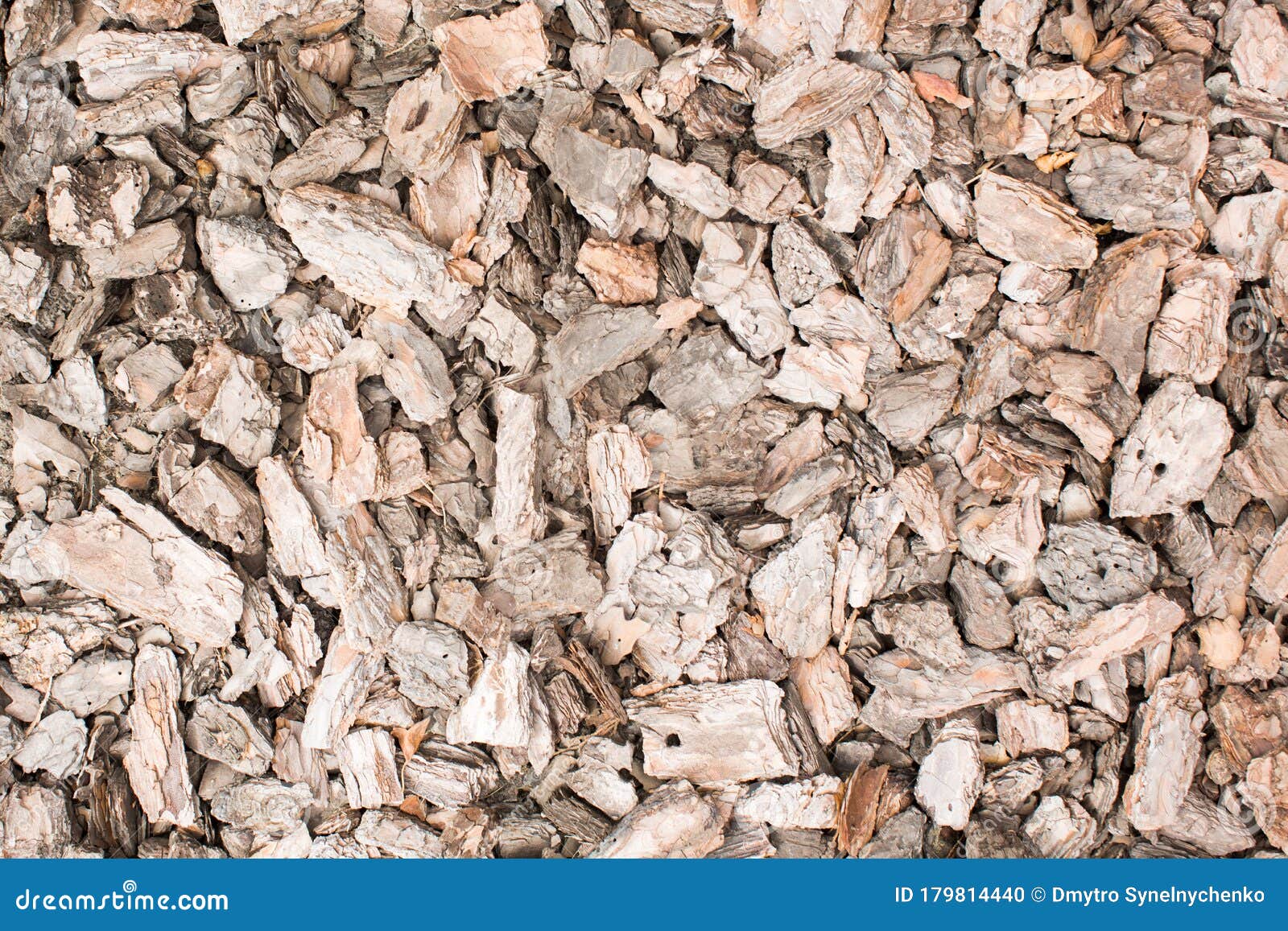 Earth Ground Covered with Compost Mulch Fragment As a Texture. Stock ...