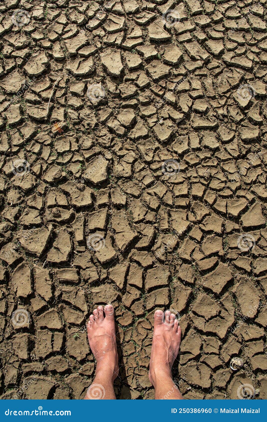 Earth/Ground Cracks stock photo. Image of pattern, clay - 250386960