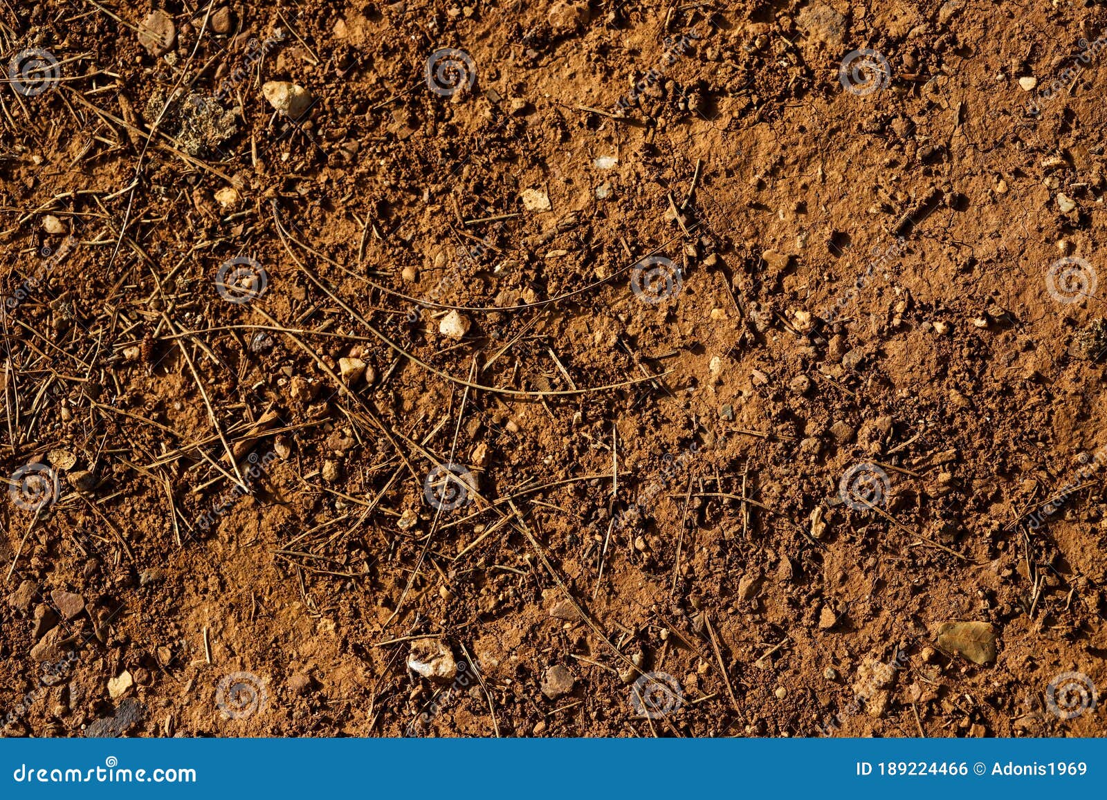 Earth ground stock photo. Image of detail, nature, garden - 189224466