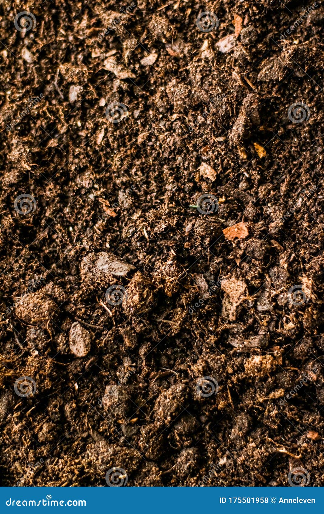 Earth Ground Texture As Background, Nature and Environment Stock Photo ...