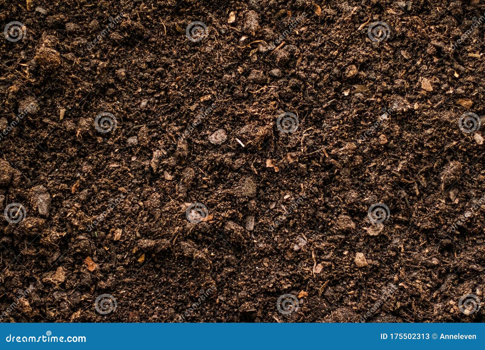 Earth Ground Covered With Compost Mulch Fragment As A Texture Ba Stock ...