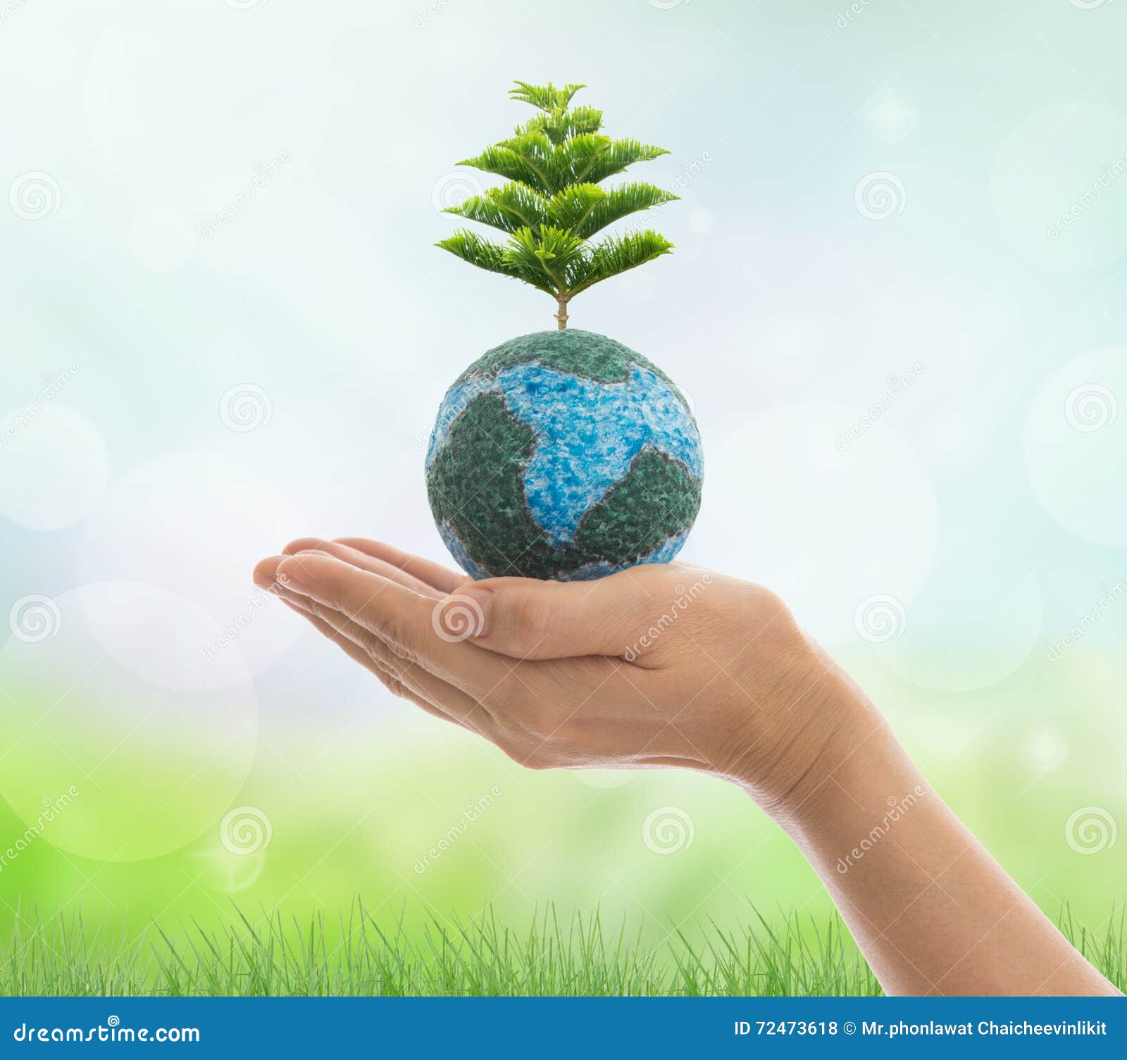 Earth in Hand Isolated on White Stock Photo - Image of hand, growth ...