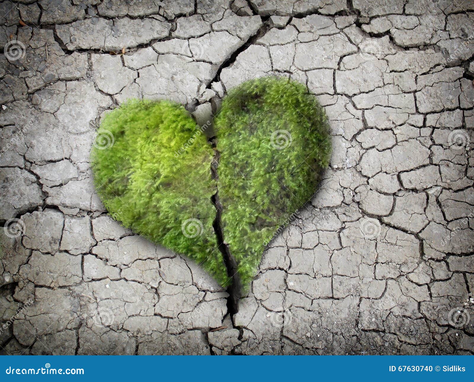Earth heart on ground stock photo. Image of halved, grass - 67630740