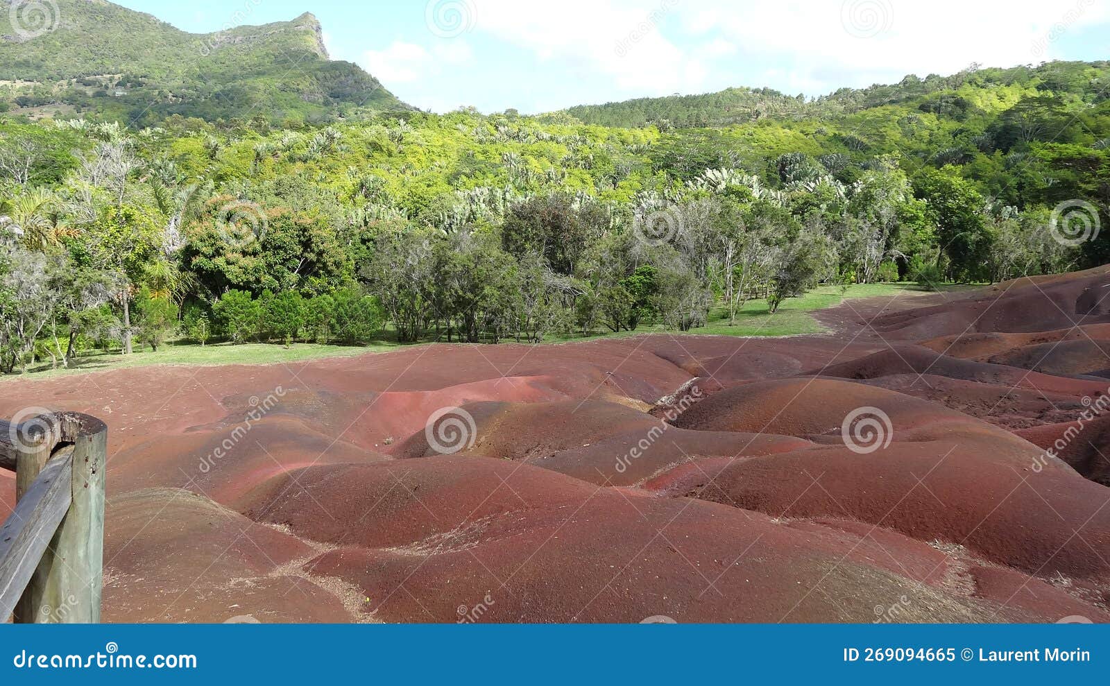 Earth and jungle 2 stock image. Image of earth, valley - 269094665