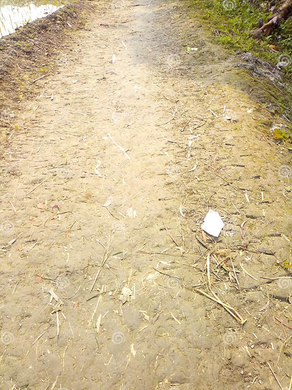 Earth landscape sandy way. stock photo. Image of green - 172949014