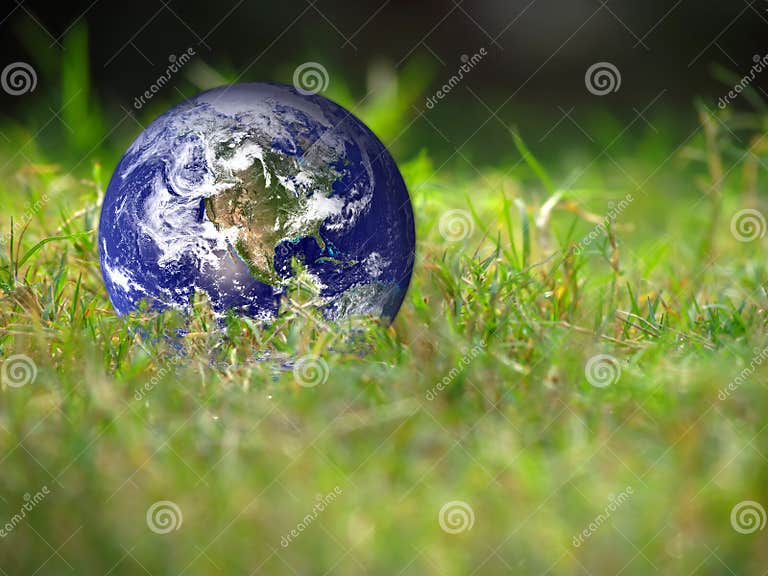 Earth Lost in Grass Spring Summer Stock Photo - Image of fresh ...