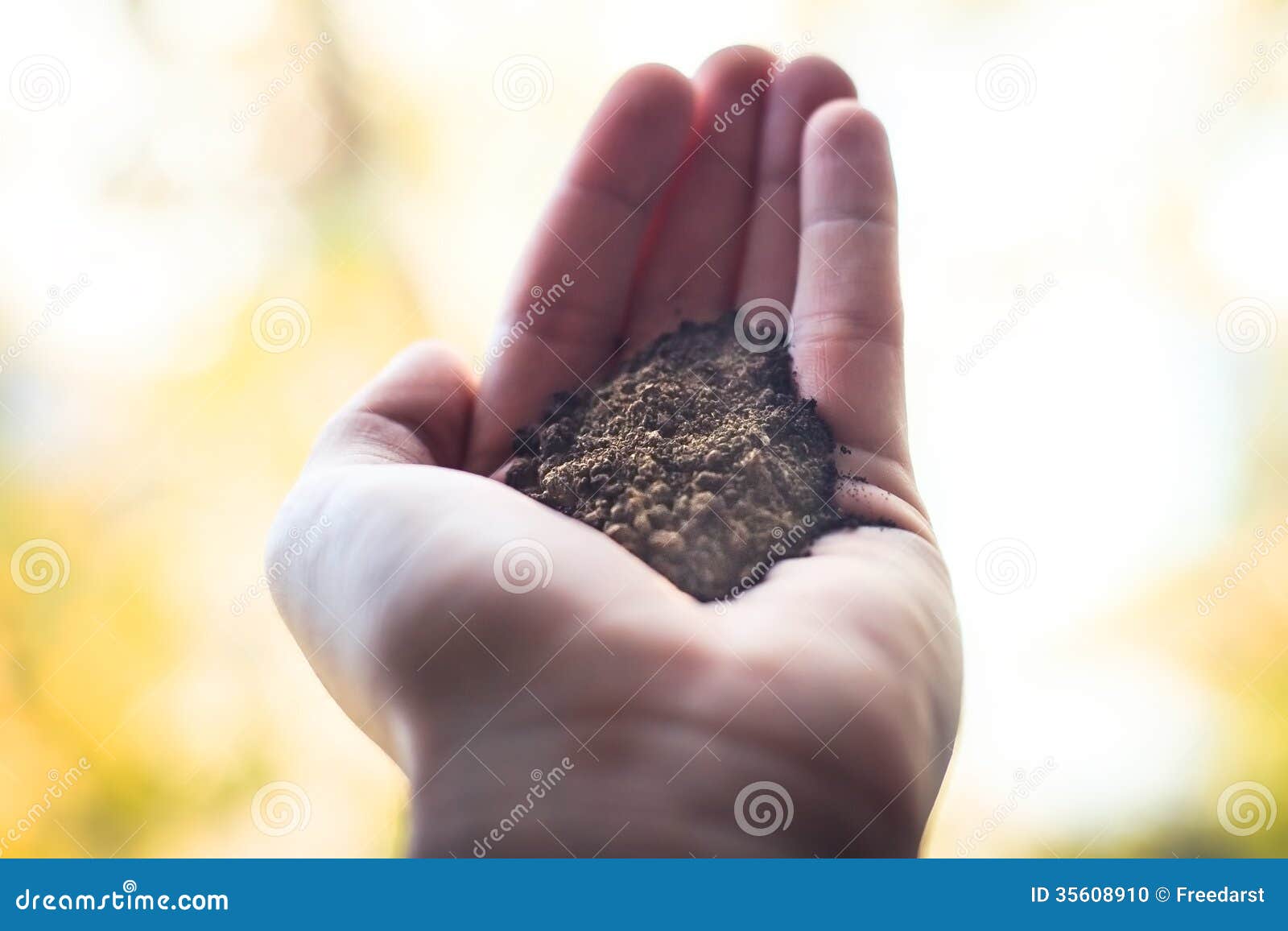 Earth in palm of the hand stock photo. Image of nature - 35608910