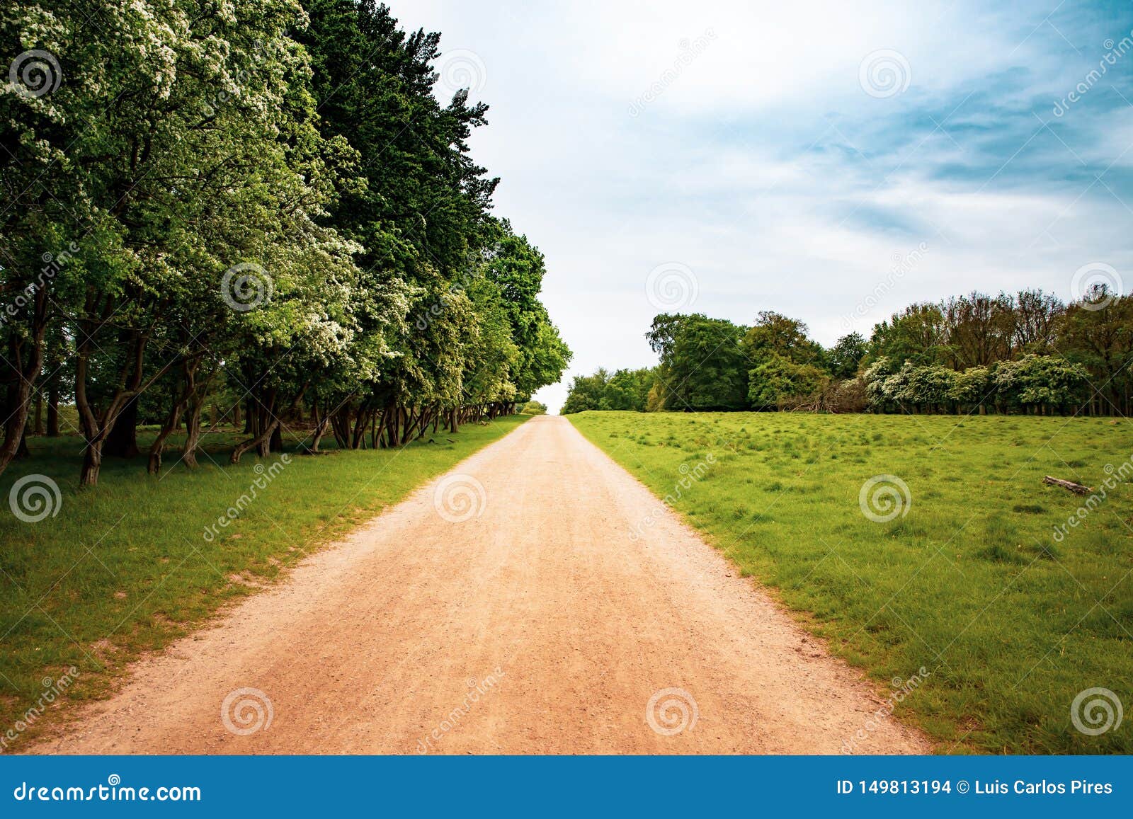 Earth Path in the Country Side Stock Photo - Image of trail, nature ...