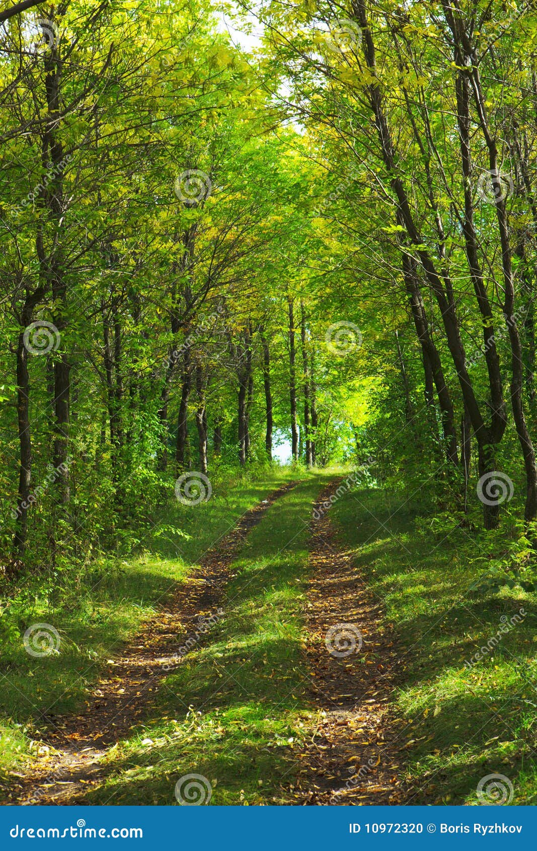 Earth Road stock photo. Image of color, outdoor, natural - 10972320