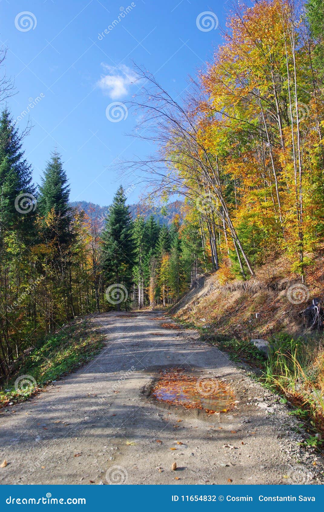 Earth road stock photo. Image of gorgeous, climate, colors - 11654832