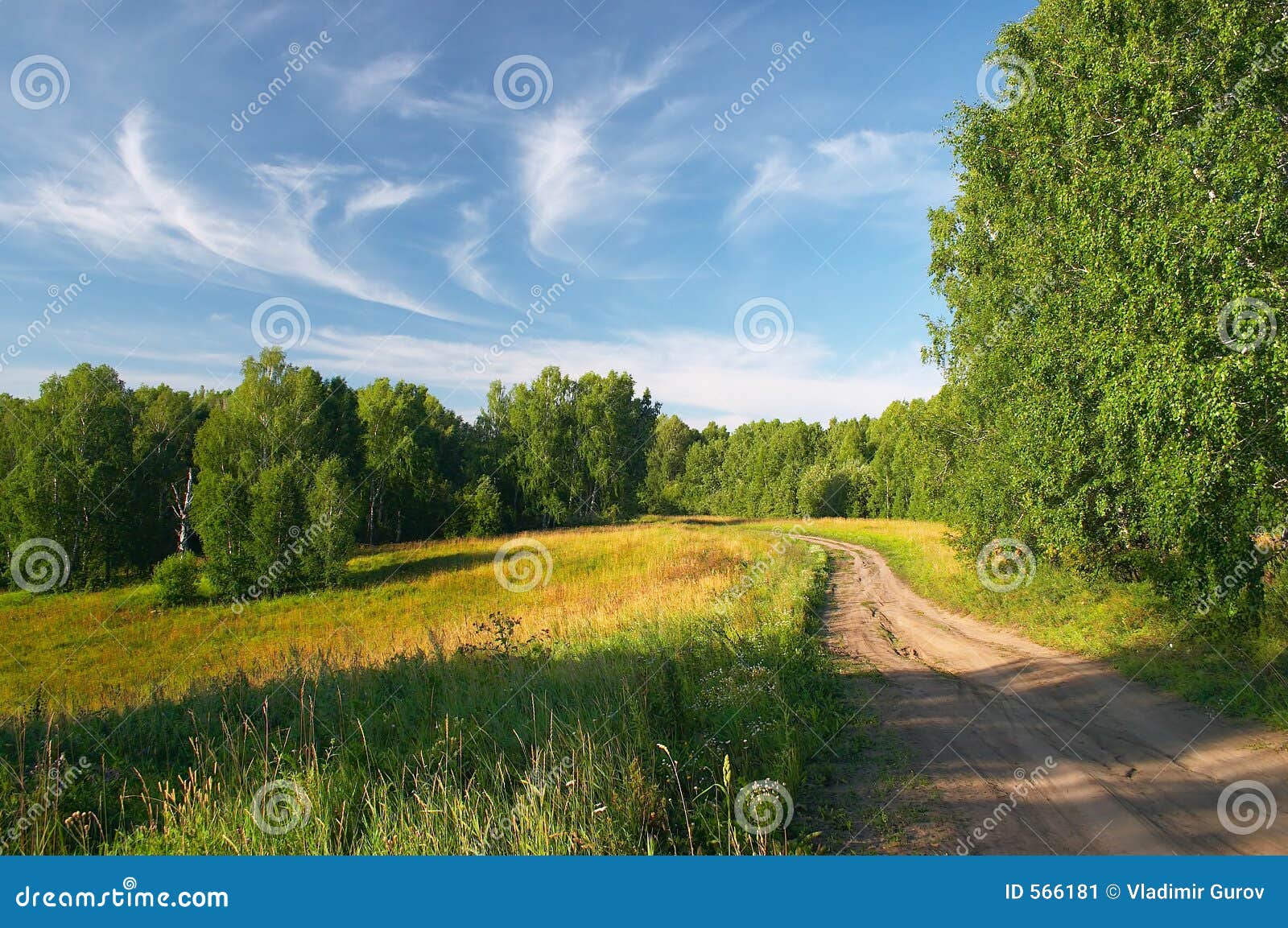 Earth road stock image. Image of country, meandering, clearing - 566181