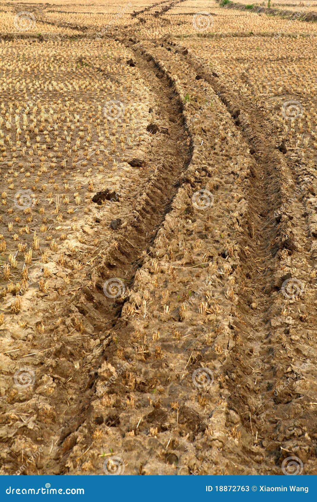 Earth Road Across the Field in the Evening Stock Image - Image of brown ...