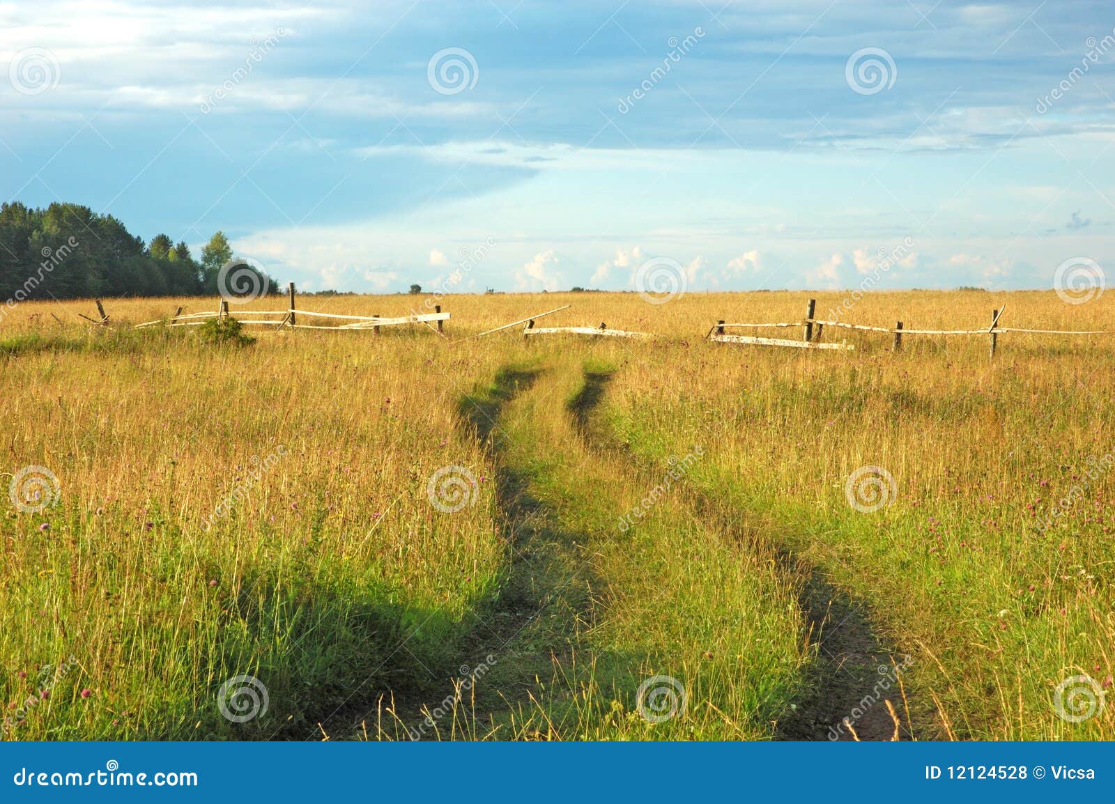 Earth road in the field stock photo. Image of nature - 12124528
