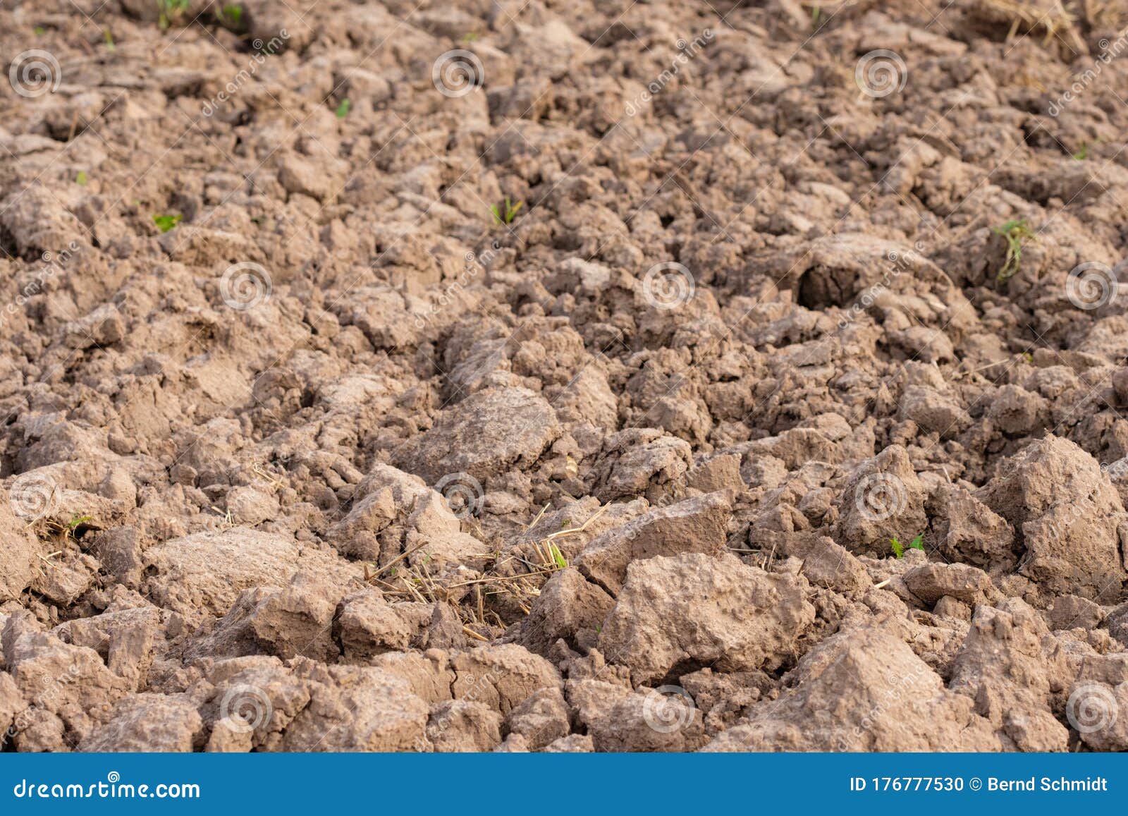 Earth soil arable stock photo. Image of nutrients, harvest - 176777530