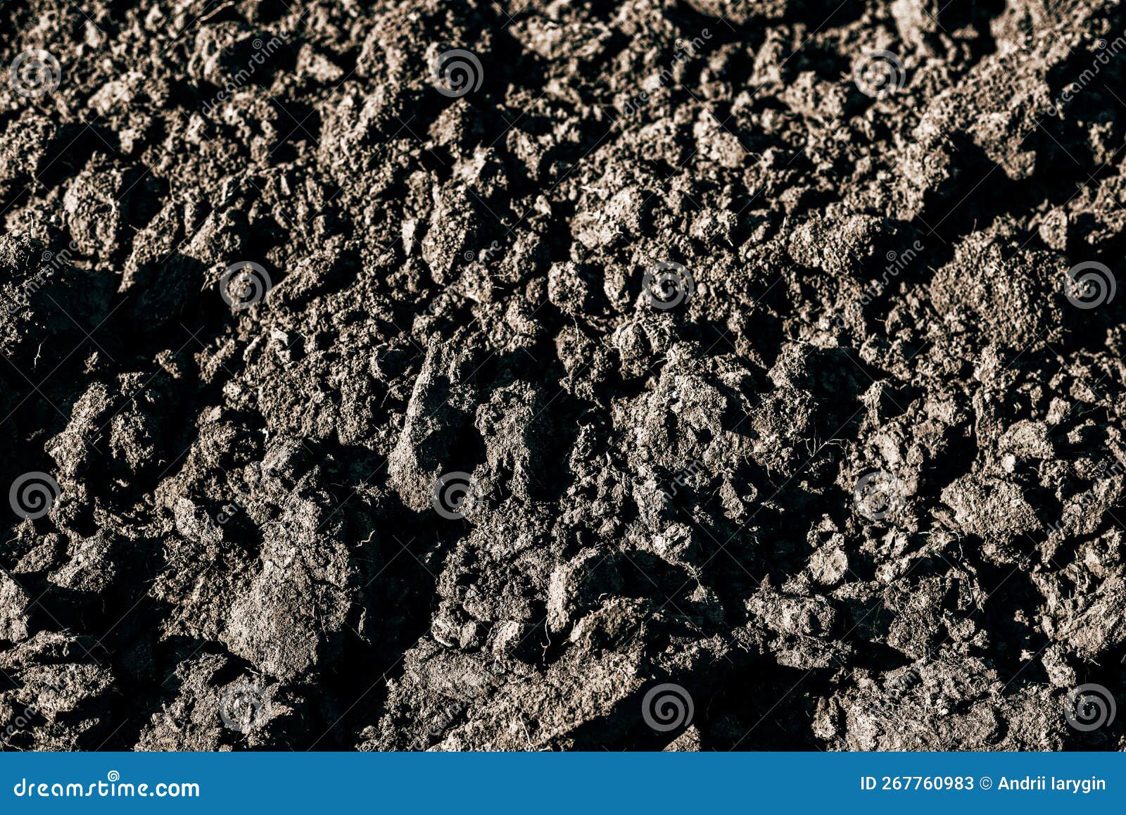 Earth Soil Humus Background Stock Image - Image of humus, dirt: 267760983