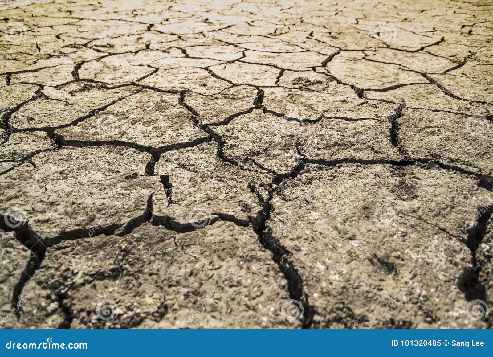 A cracked land stock image. Image of global, extreme - 101320485