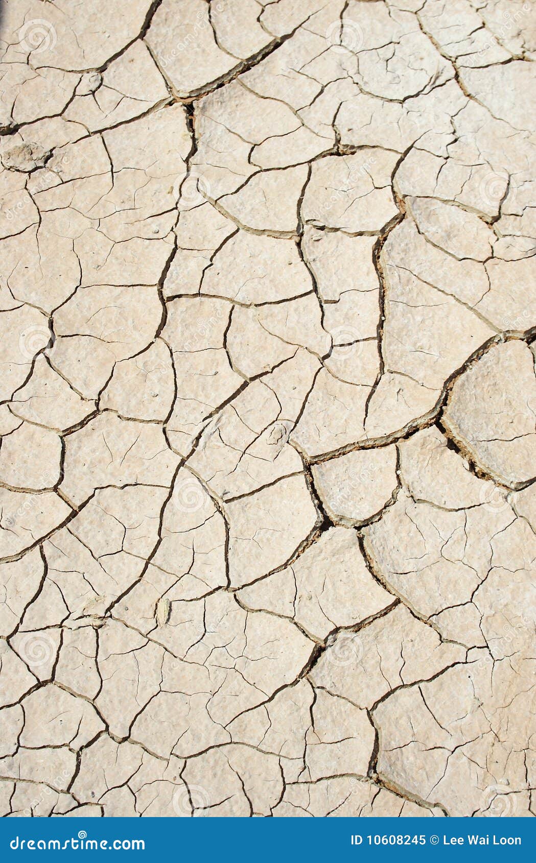 Earth texture stock image. Image of environmental, land - 10608245