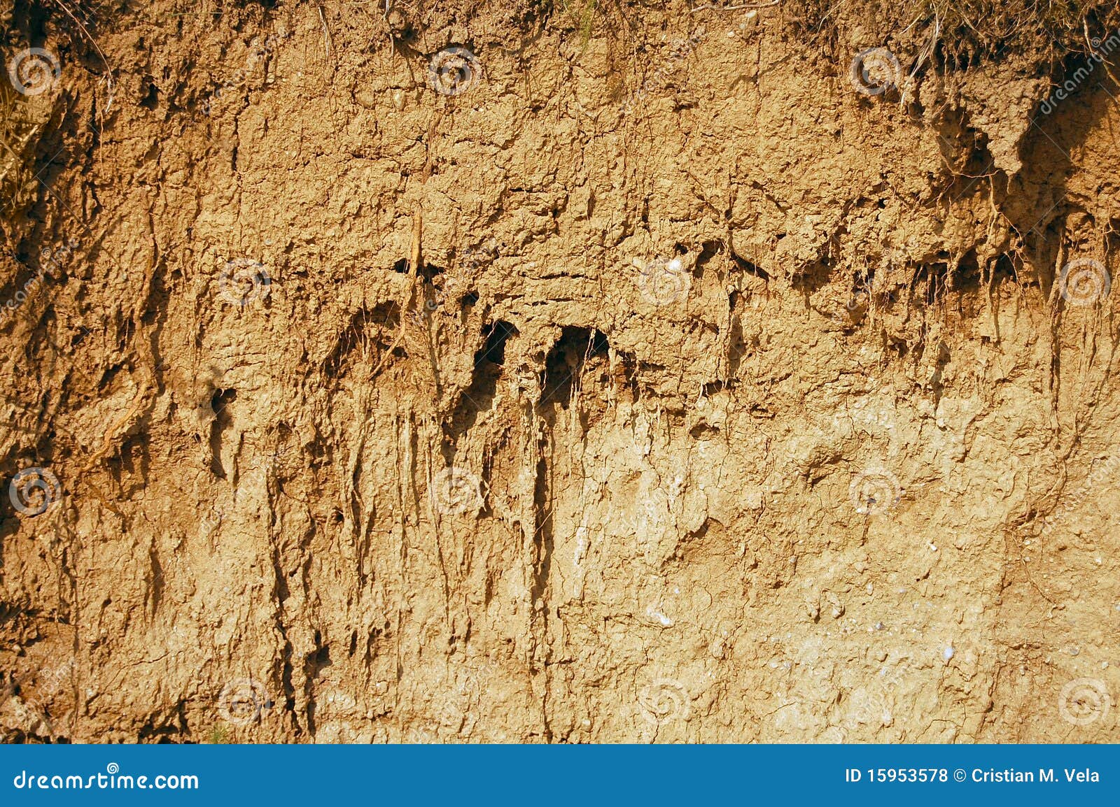 Earth Texture. Textura De Tierra. Royalty-Free Stock Photo ...